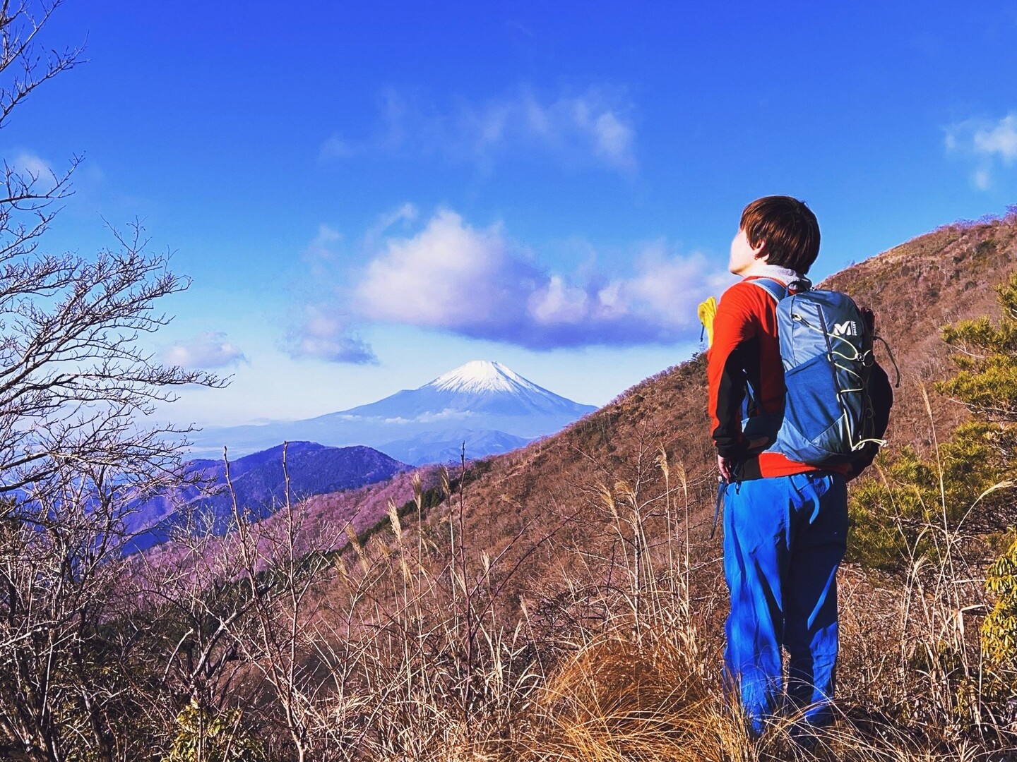 塔ノ岳バカ尾根でリハビリトレーニング / AYA_hmskさんの塔ノ岳・丹沢山・蛭ヶ岳の活動データ | YAMAP / ヤマップ