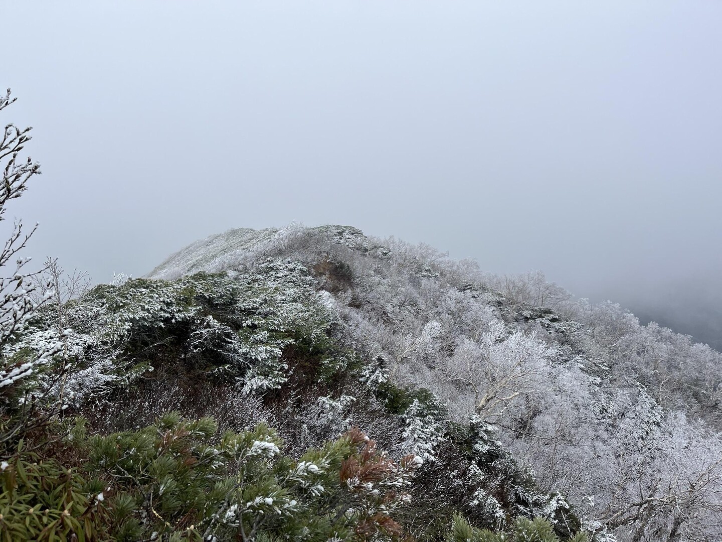 無類岩山 / sapさんの武利岳・武華山の活動データ | YAMAP / ヤマップ