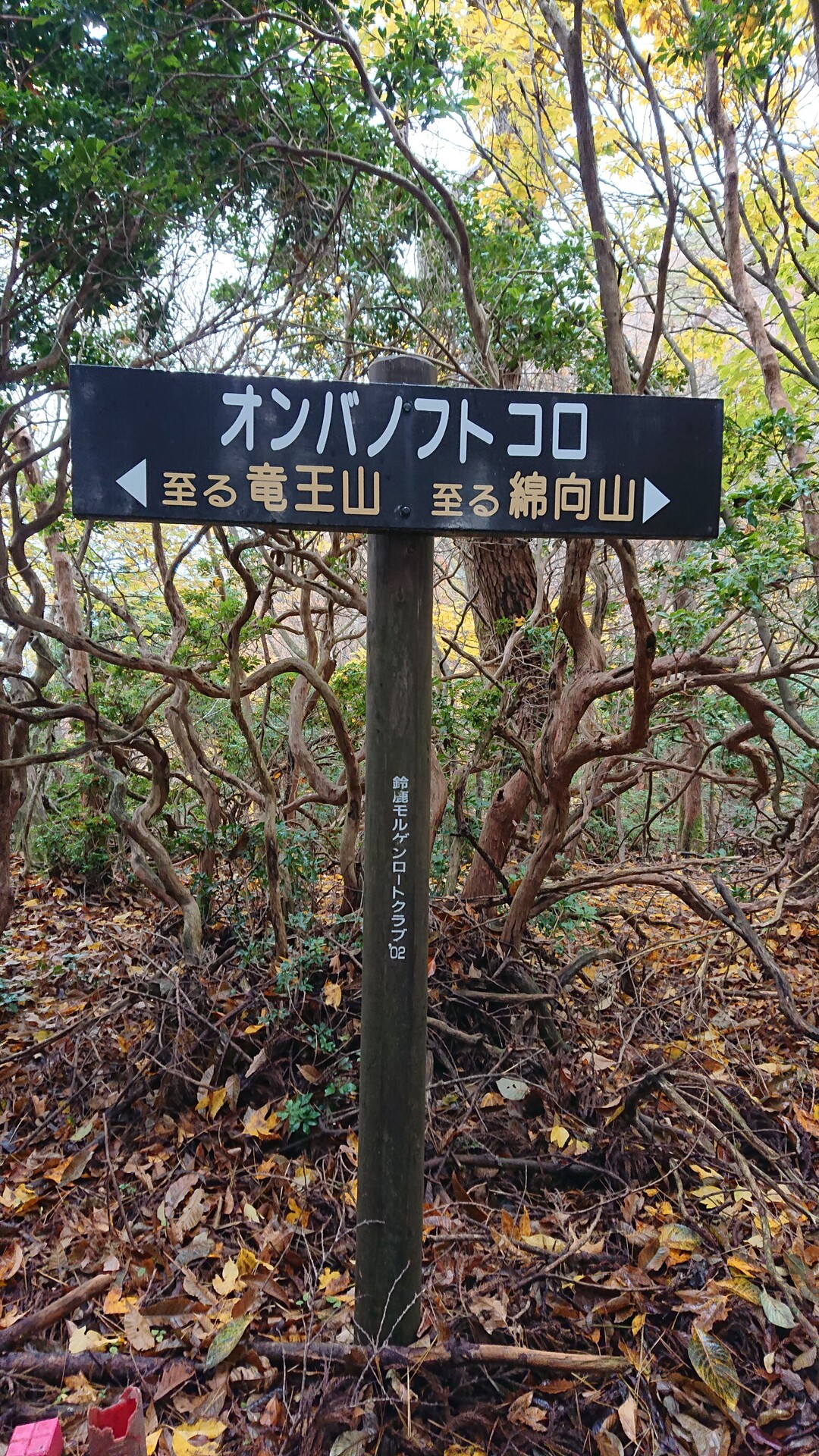 ﾊｲｻﾝｷｭｰさんの投稿したフィールドメモ | YAMAP / ヤマップ