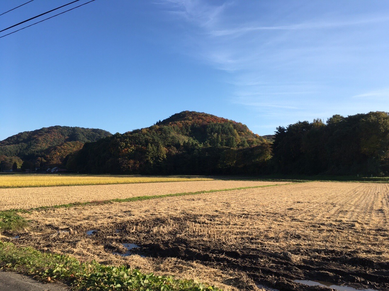 稲荷山 / Kozさんの盛岡市の活動データ | YAMAP / ヤマップ