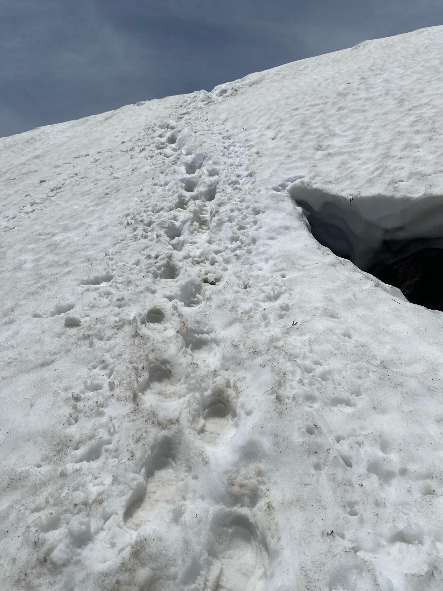 谷川岳（トマの耳）・谷川岳（オキノ耳）・熊穴沢ノ頭 / ha_dhさんの谷川岳・七ツ小屋山・大源太山の活動データ | YAMAP / ヤマップ