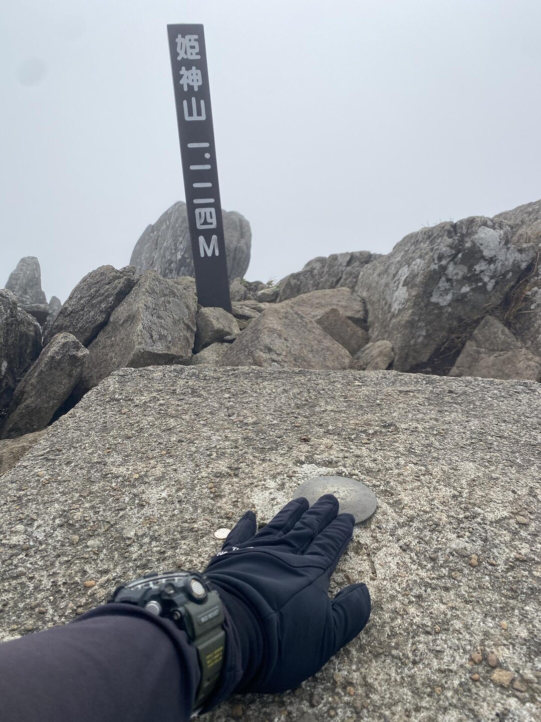 姫神山(R6,21回目) / TMZさんの姫神山の活動データ | YAMAP / ヤマップ