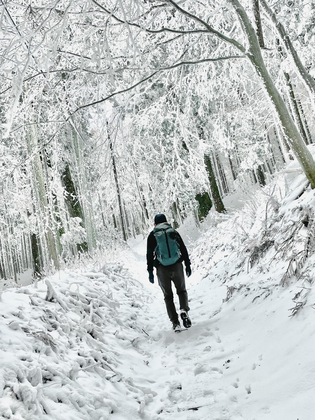 京都一周トレイル day3 - 比叡山山頂→二ノ瀬駅 / 👨🏼‍🚀さんの京都一周トレイルの活動データ | YAMAP / ヤマップ