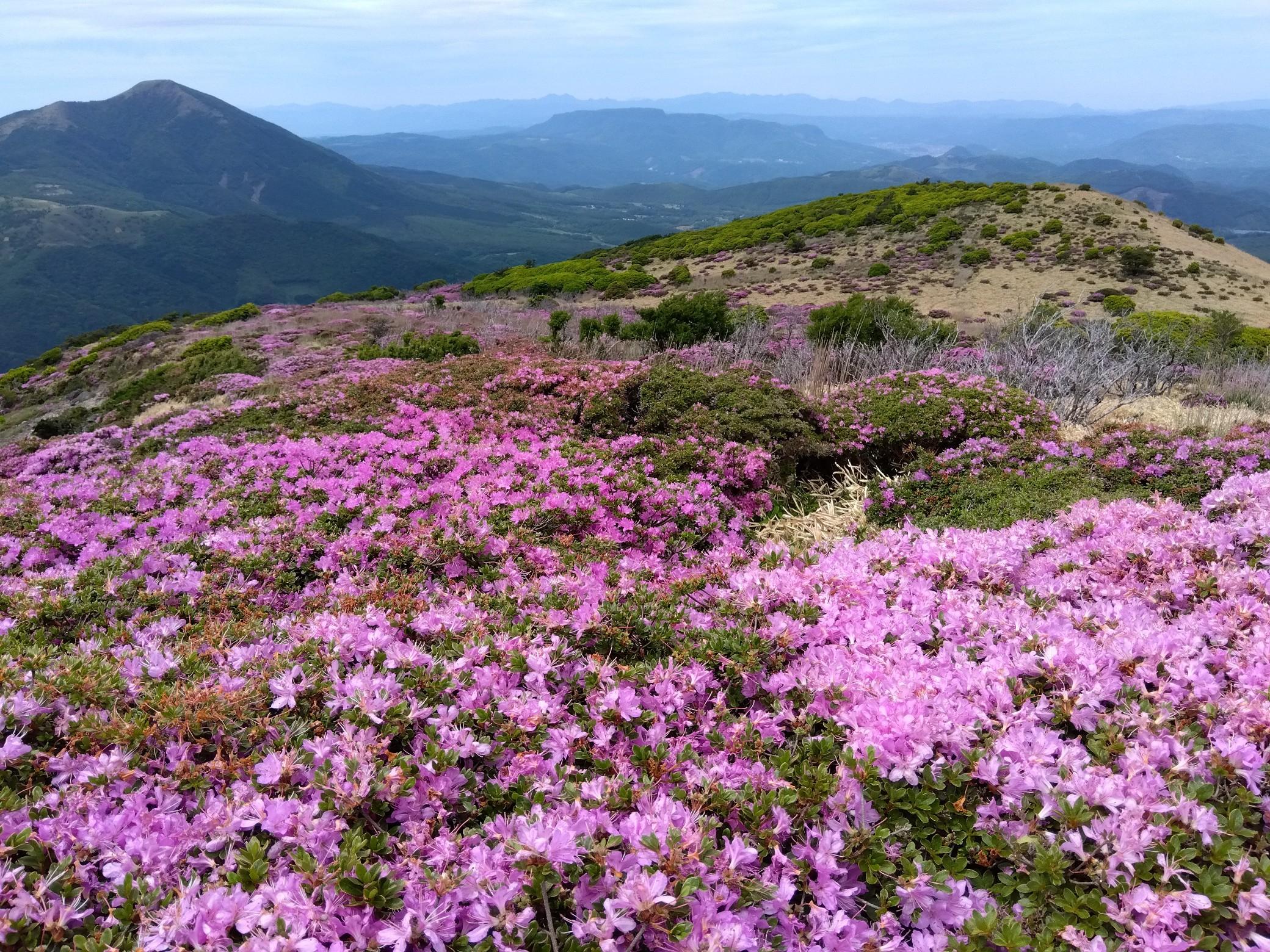 泉水・上泉水・大崩ノ辻・黒岩 / senbu2(センブツ)さんの九重山（久住山）・大船山・星生山の活動データ | YAMAP / ヤマップ