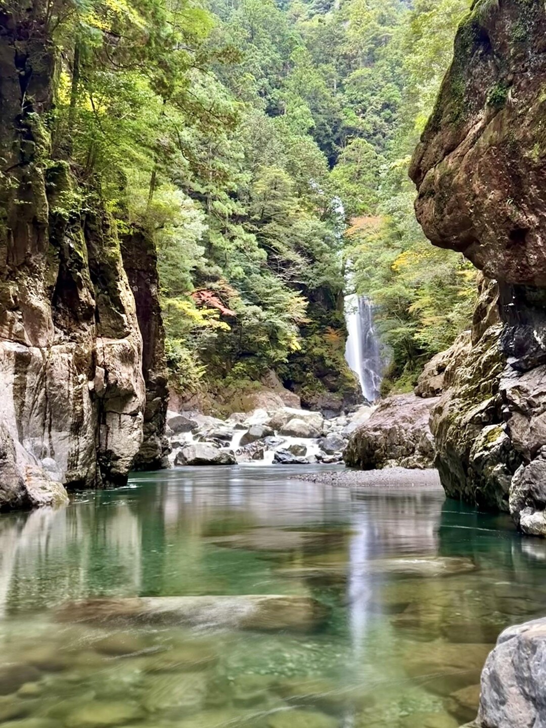 大杉谷から大台ヶ原リベンジ縦走 / komariさんの大台ヶ原山・日出ヶ岳・大杉谷の活動データ | YAMAP / ヤマップ