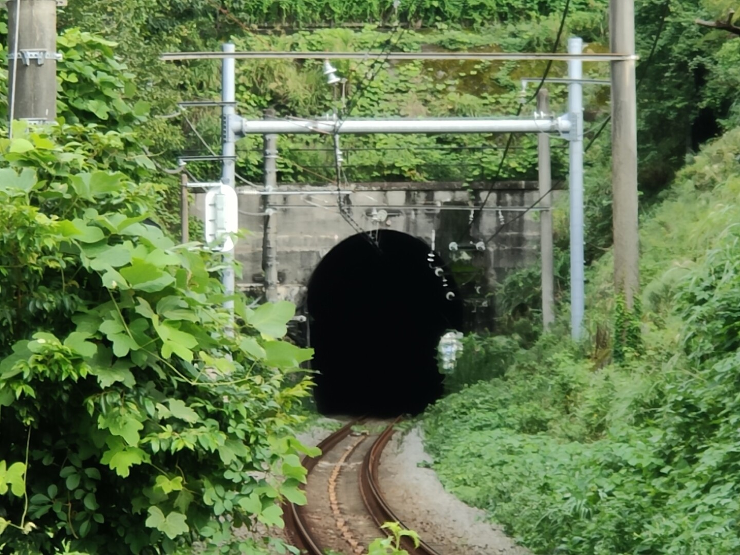 鎌倉アルプス / a-kumaさんの鎌倉アルプス（大平山・天台山）の活動日記 | YAMAP / ヤマップ