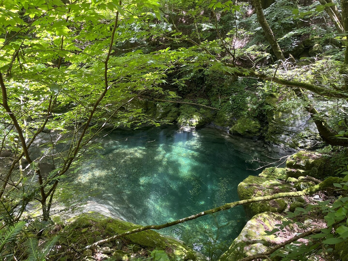 石鎚山・堂ヶ森・二ノ森-2023-08-05 / issaさんの石鎚山・堂ヶ森・二ノ森の活動データ | YAMAP / ヤマップ