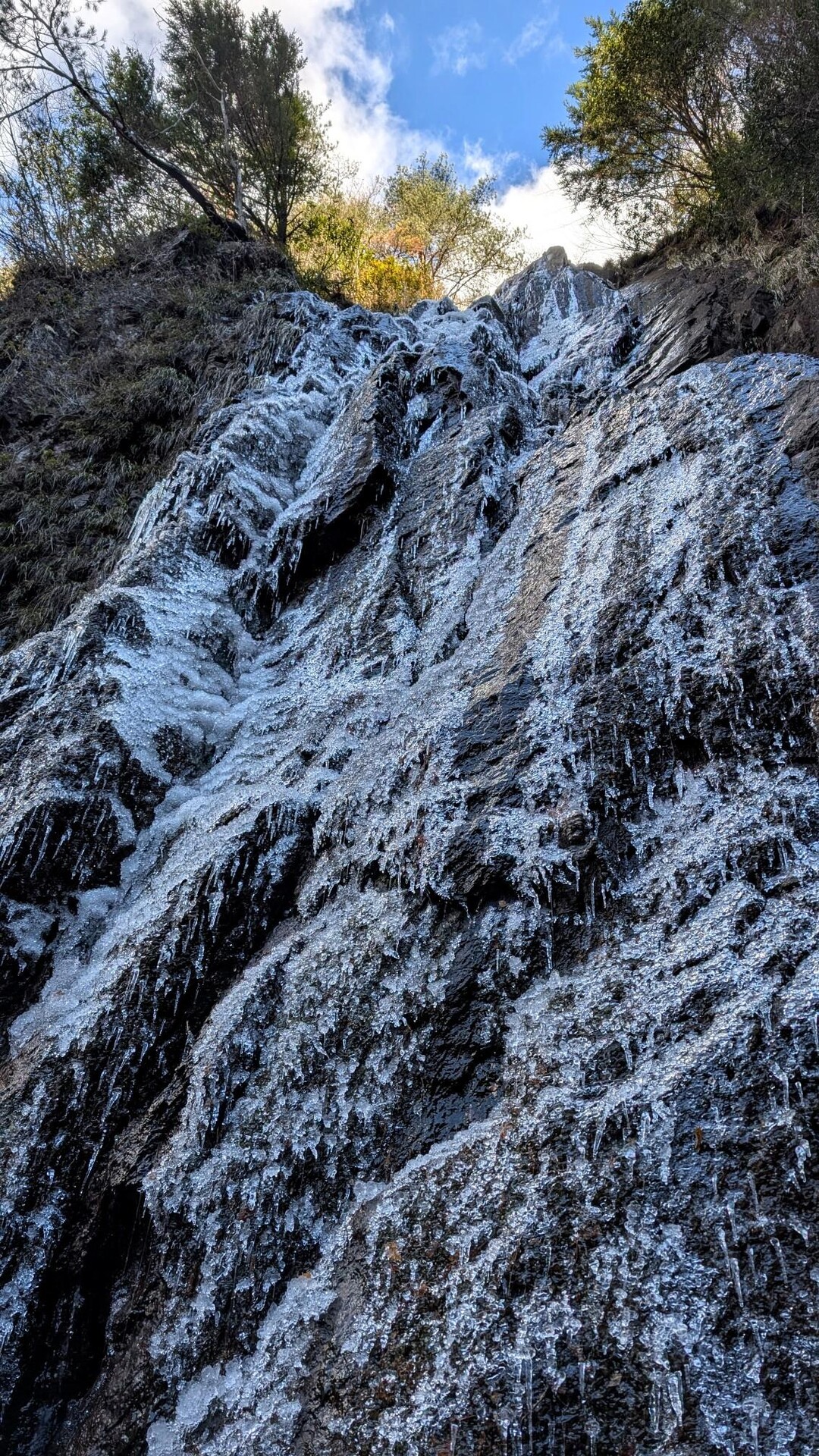 2/4火 寒波初日 笠形山 扁妙の... / K.Tさんのモーメント | YAMAP / ヤマップ