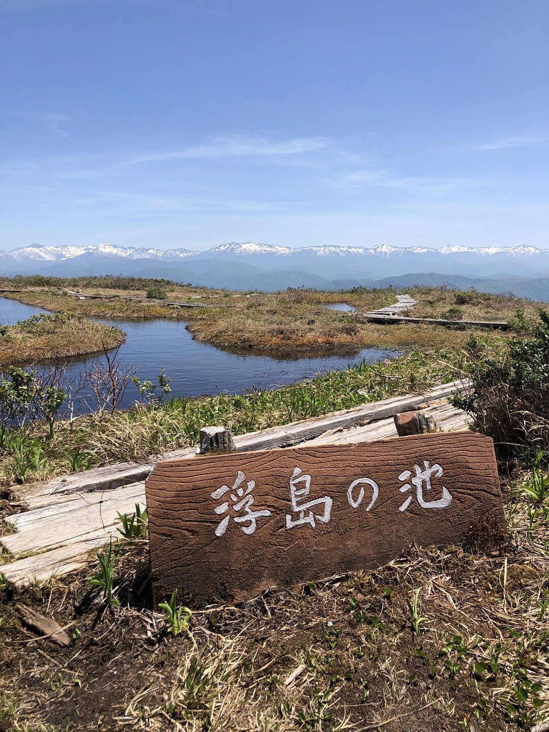 白木峰 / OKDさんの白木峰・小白木峰の活動データ | YAMAP / ヤマップ