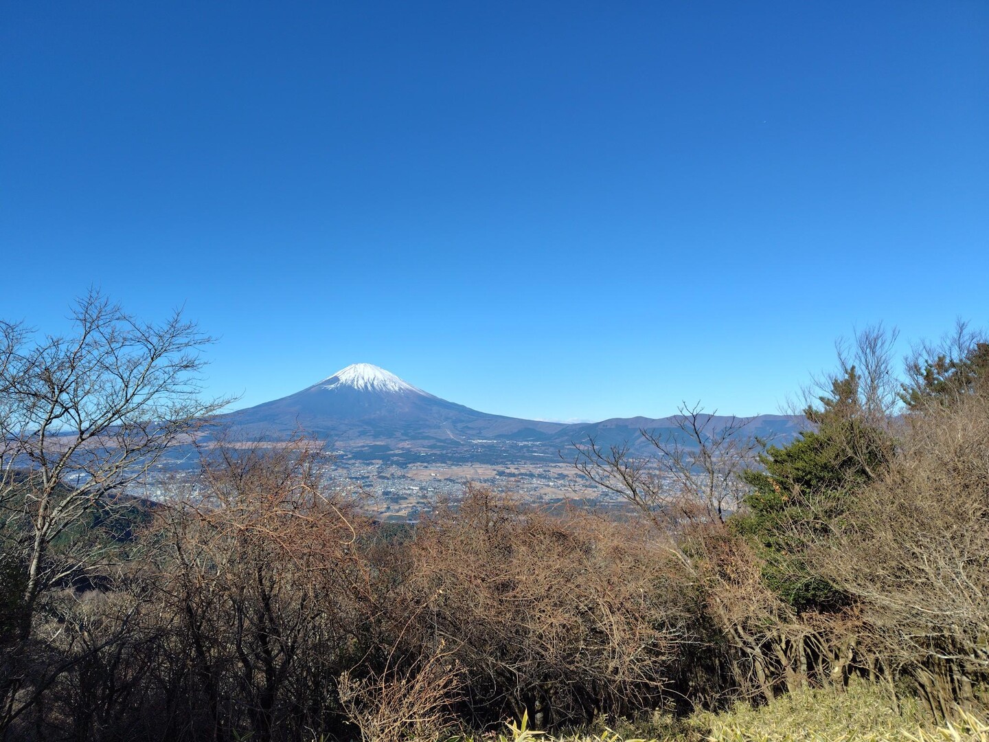 金時山・丸鉢山・イモジ山 / A1-2075さんの金時山・明神ヶ岳の活動データ | YAMAP / ヤマップ