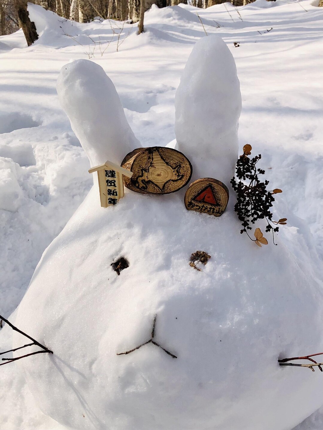 First climb 2023 Sapporo's mother mountain ️藻岩山 / chantyさんの藻岩山の活動データ | YAMAP / ヤマップ