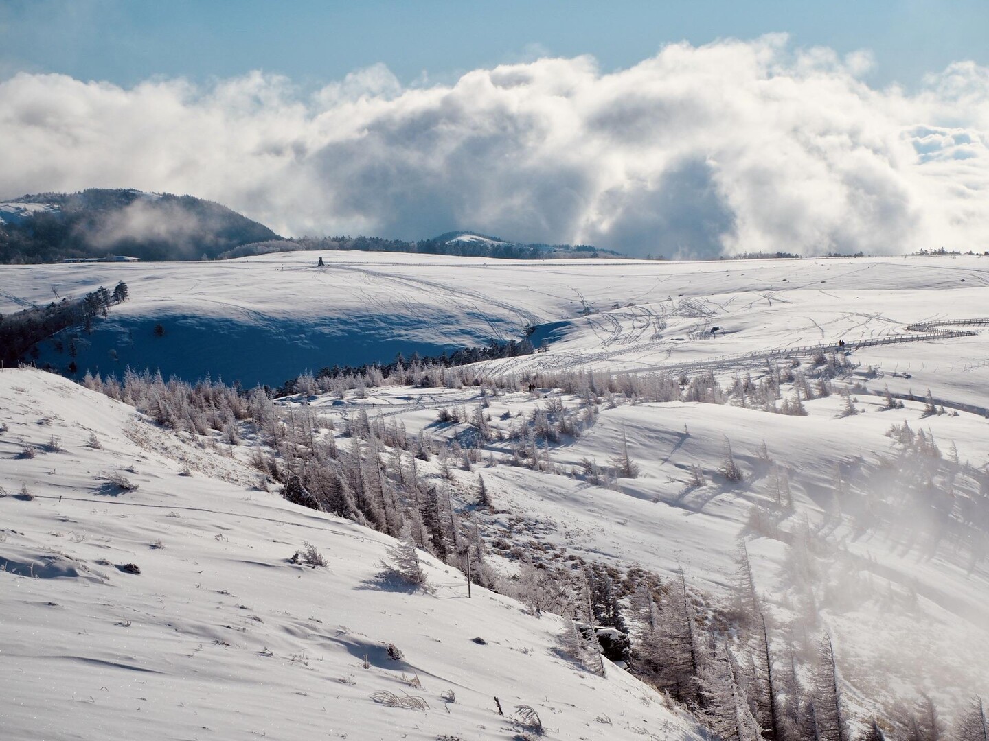 美ヶ原 (100曲がり〜ダテ河原周回) / meguさんの美ヶ原の活動データ | YAMAP / ヤマップ