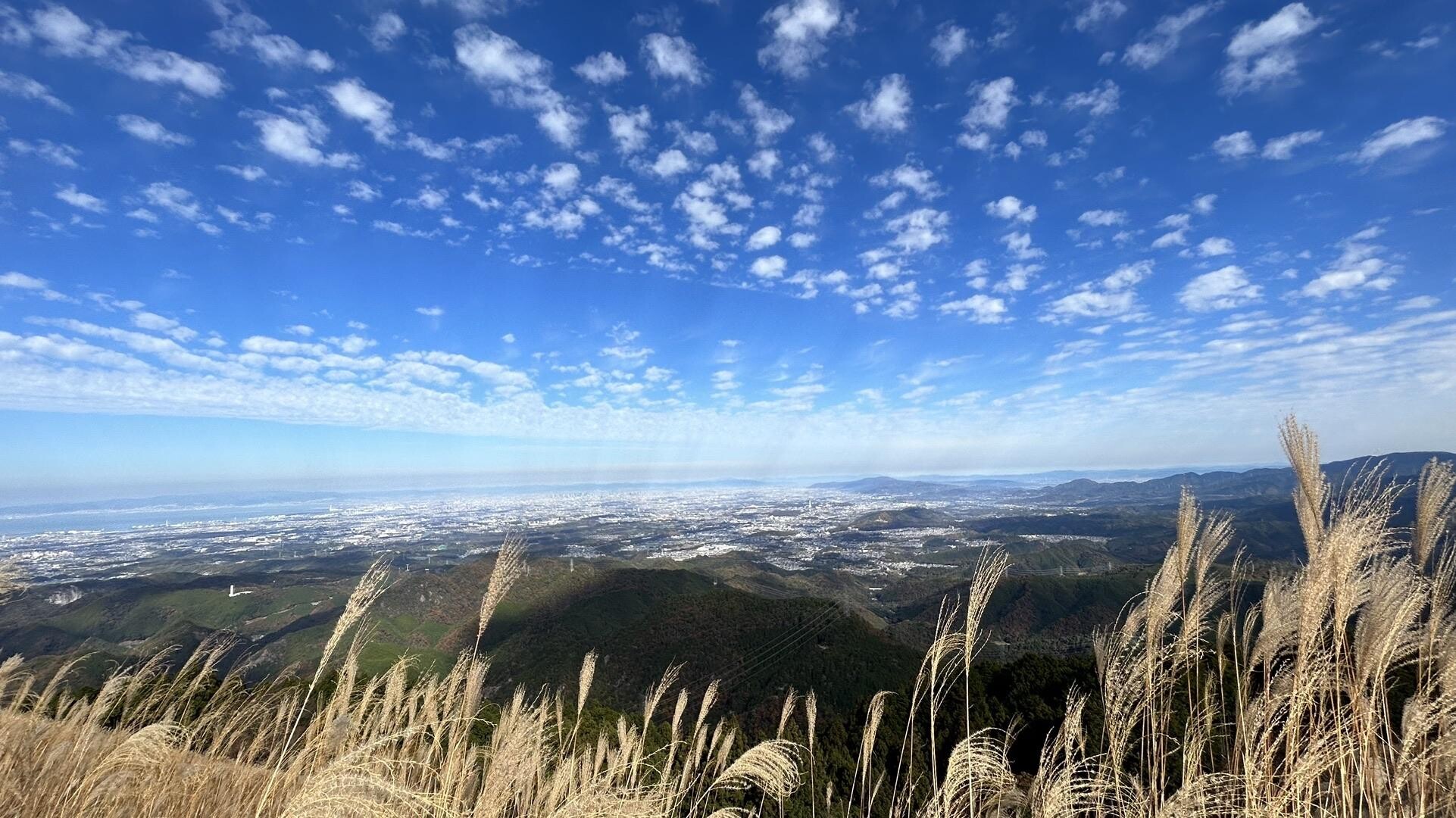 STM ダイヤモンドトレール（紀見峠〜槙尾山） / POWさんの岩湧山・一徳防山・三石山の活動データ | YAMAP / ヤマップ