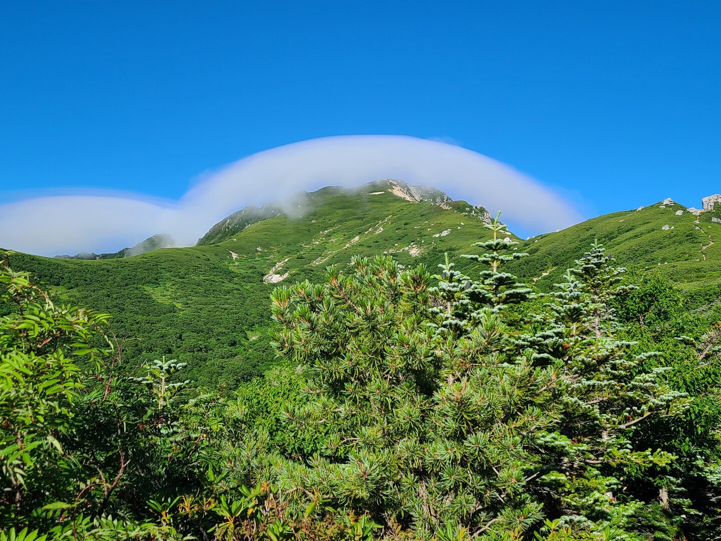 空木岳・赤椰岳・南駒ヶ岳・仙涯嶺 / ym5shinさんの木曽駒ヶ岳・空木岳・越百山の活動データ | YAMAP / ヤマップ