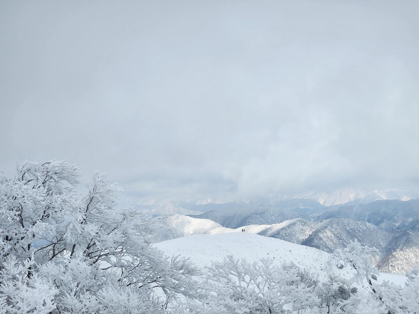 綿向山 / satomi29さんの綿向山の活動データ | YAMAP / ヤマップ