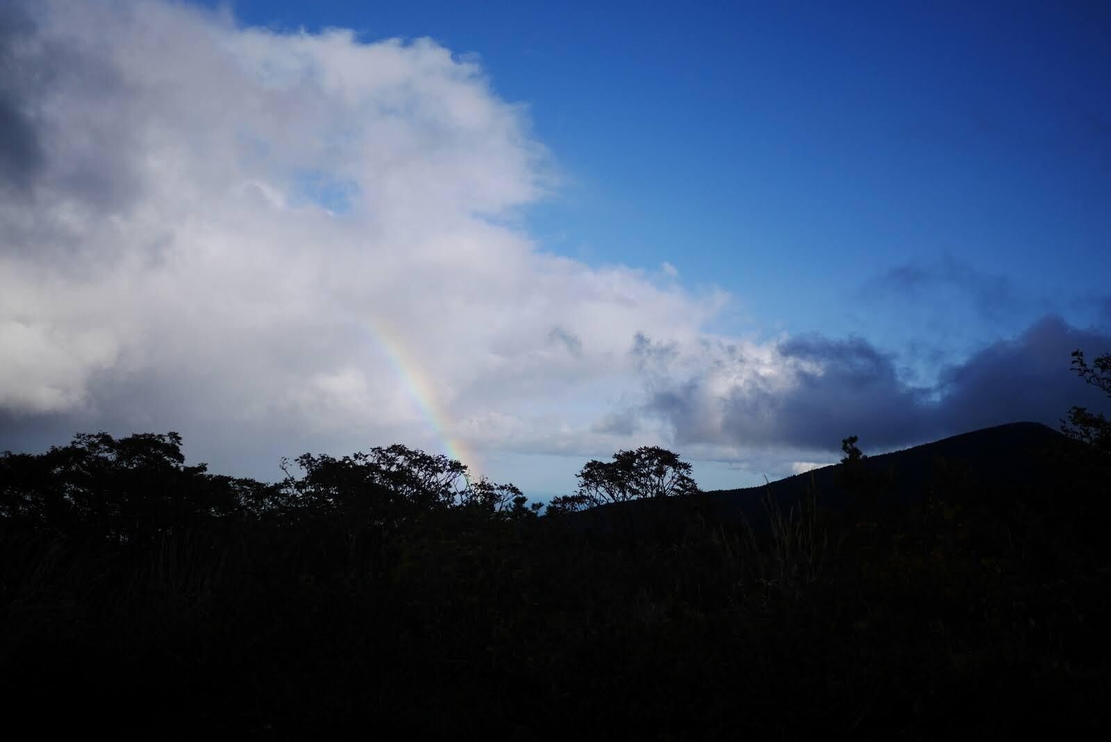 蔵王山 / yshrtrdさんの蔵王山・雁戸山・不忘山の活動データ | YAMAP / ヤマップ
