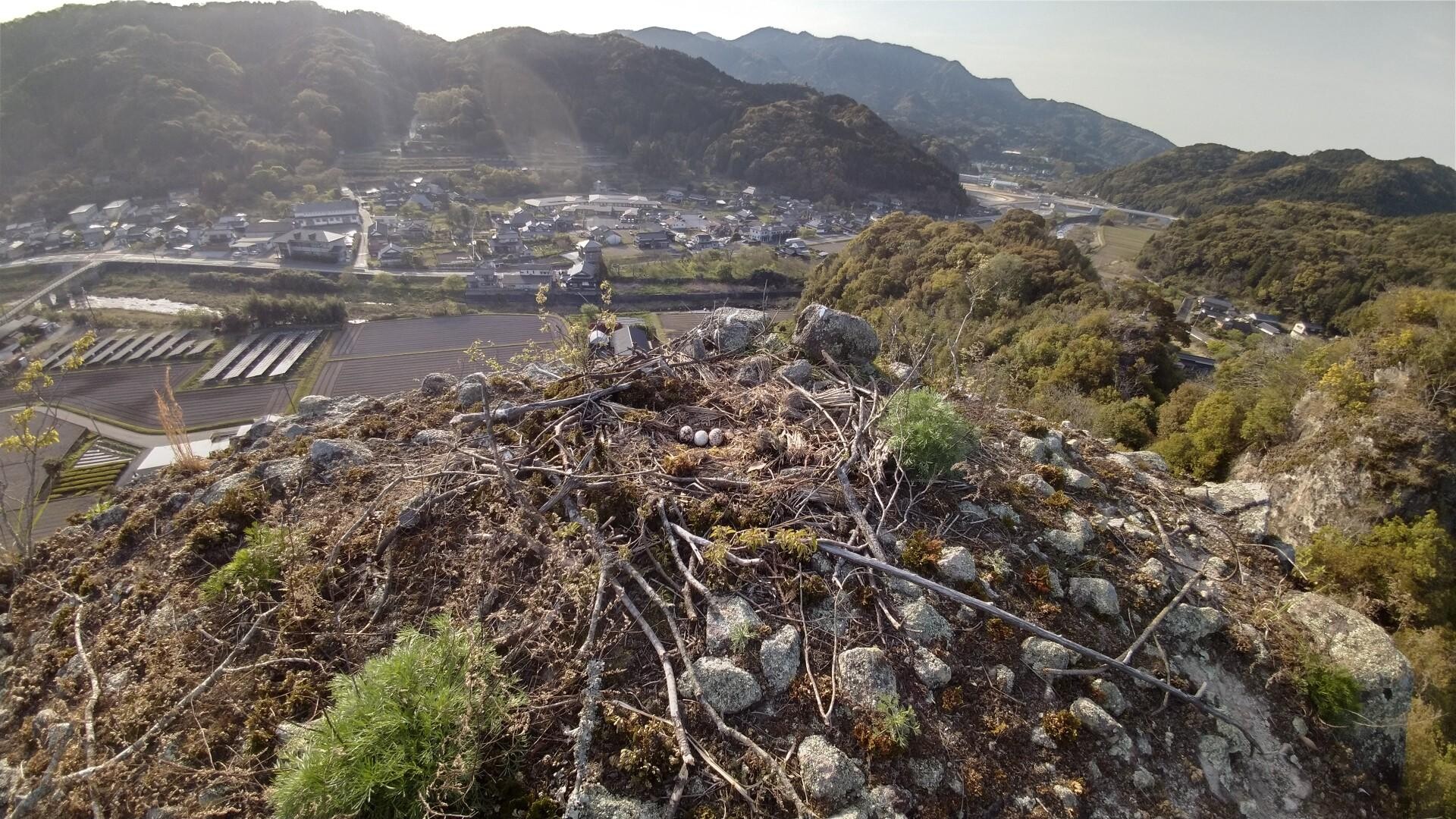 西京橋帰り トイレ🚻休憩に寄り道した古... / obrさんのモーメント | YAMAP / ヤマップ