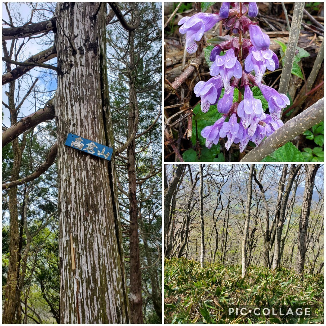 777mの高倉山 / emitさんの南昌山・東根山・箱ヶ森の活動データ | YAMAP / ヤマップ