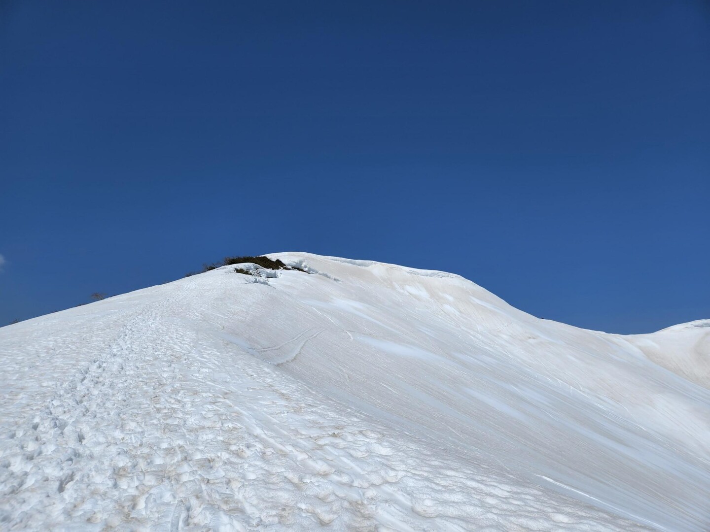 湯殿山 / drumscoさんの月山の活動データ | YAMAP / ヤマップ