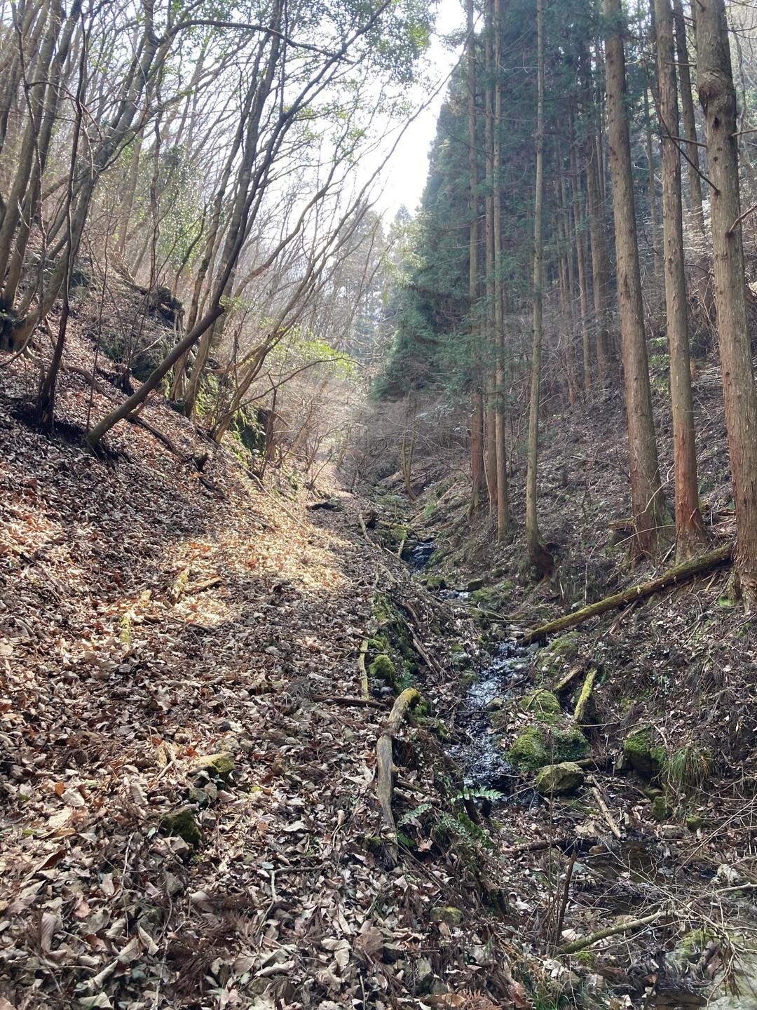 kozoさんの投稿したフィールドメモ | YAMAP / ヤマップ