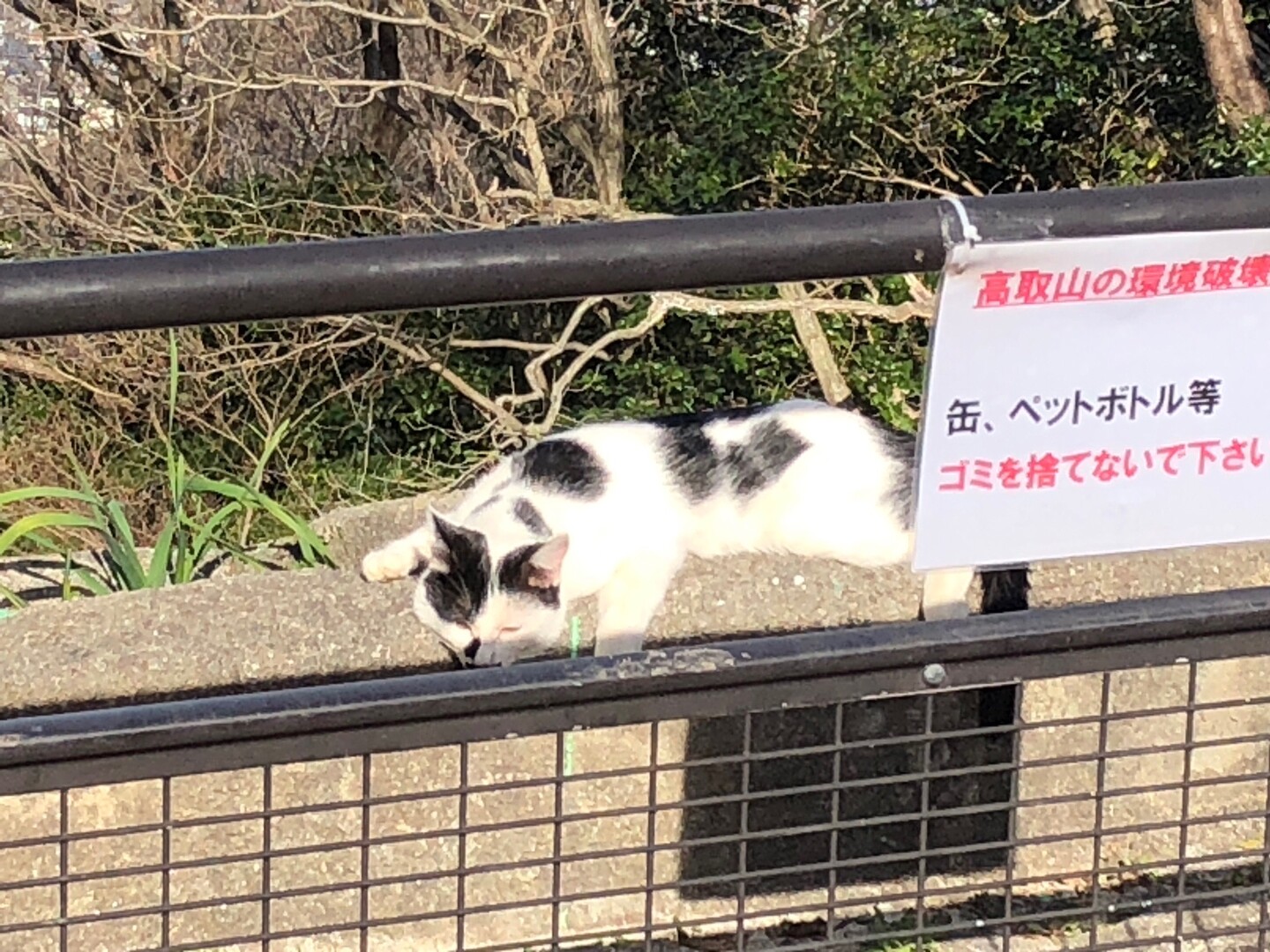 高取山 思い出辿って / idasさんの六甲山・長峰山・摩耶山の活動データ | YAMAP / ヤマップ