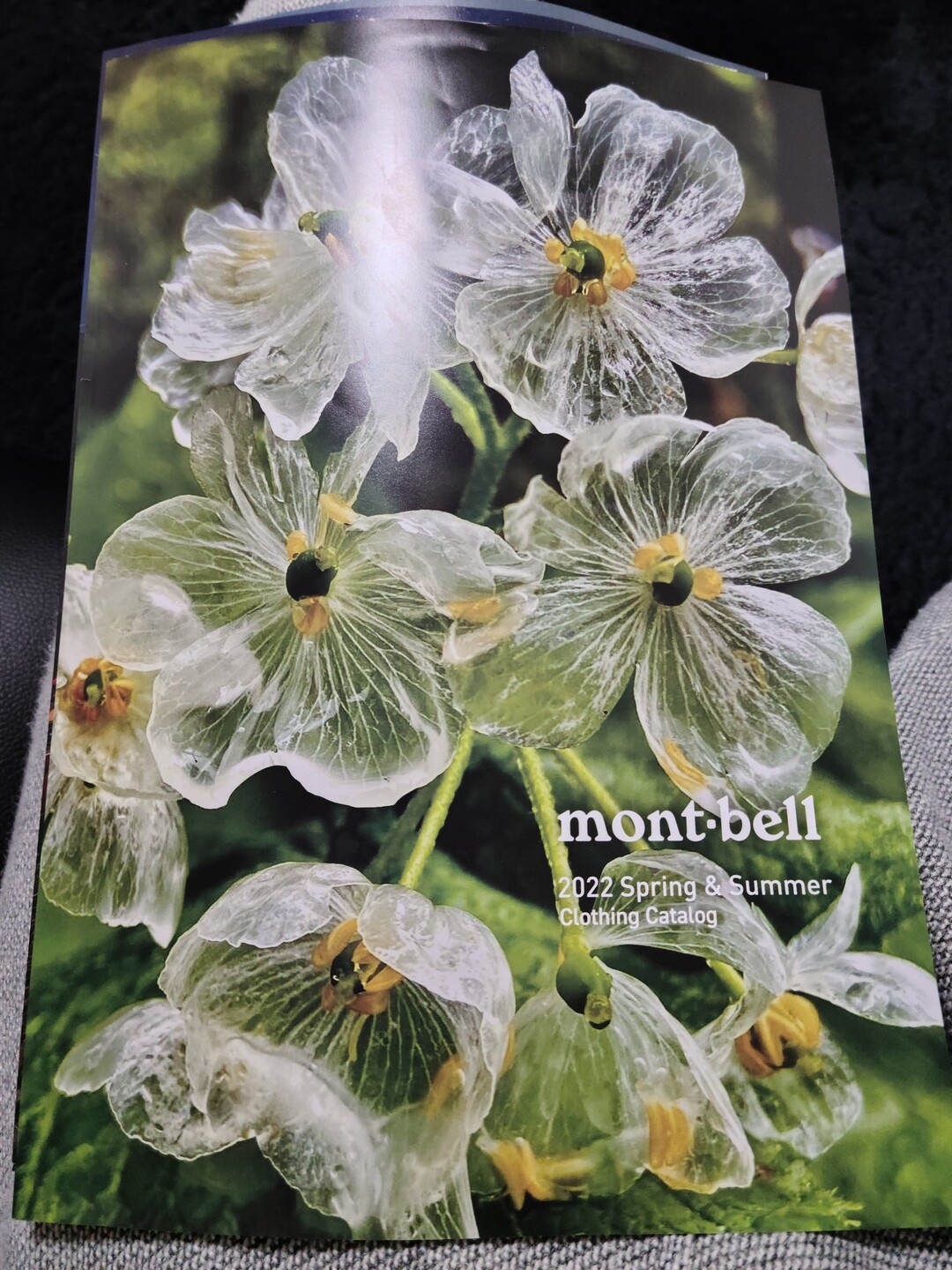 mont-bellの新しいカタログの表紙... / kaz23さんのモーメント | YAMAP / ヤマップ