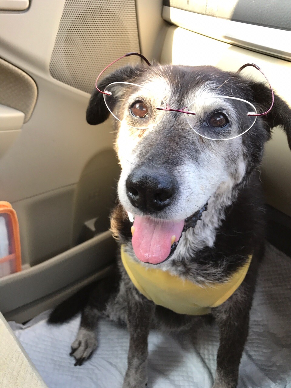 Hanamamのページ | YAMAP / ヤマップ