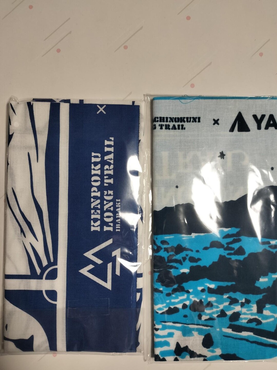 常陸国ロングトレイル2024コンプ / ひろたんさんの生瀬富士・大子アルプスの活動データ | YAMAP / ヤマップ