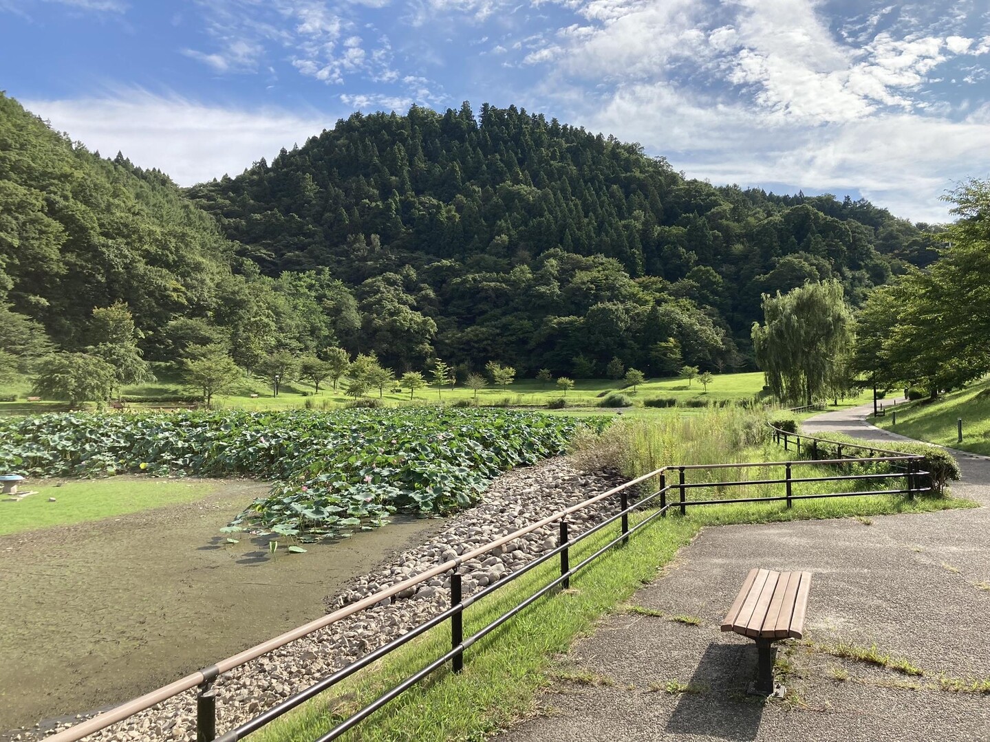 舞鶴山 / KUMAPさんの舞鶴山の活動データ | YAMAP / ヤマップ