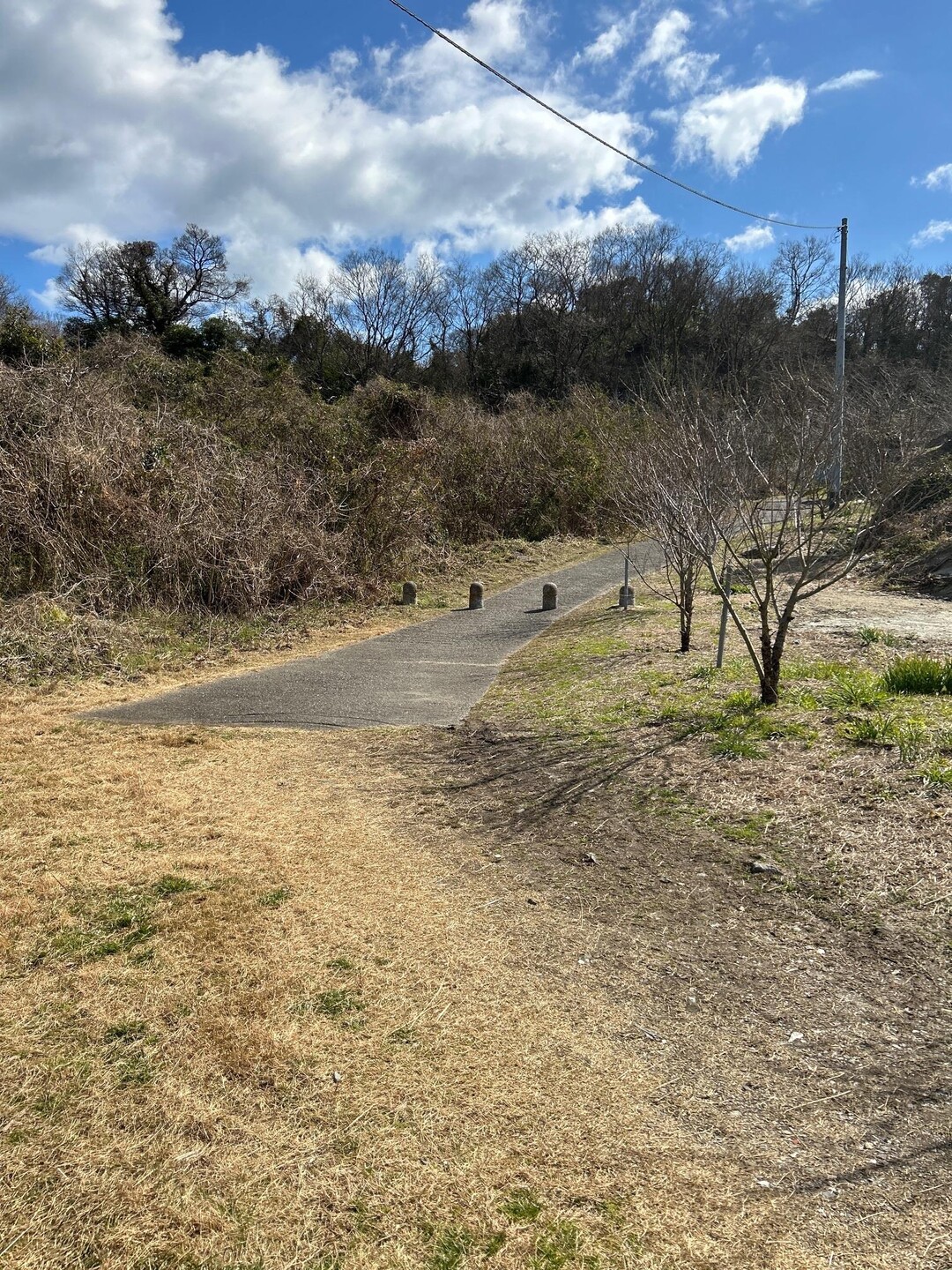 気になってた津田山お散歩♪ / karuさんのモーメント | YAMAP / ヤマップ
