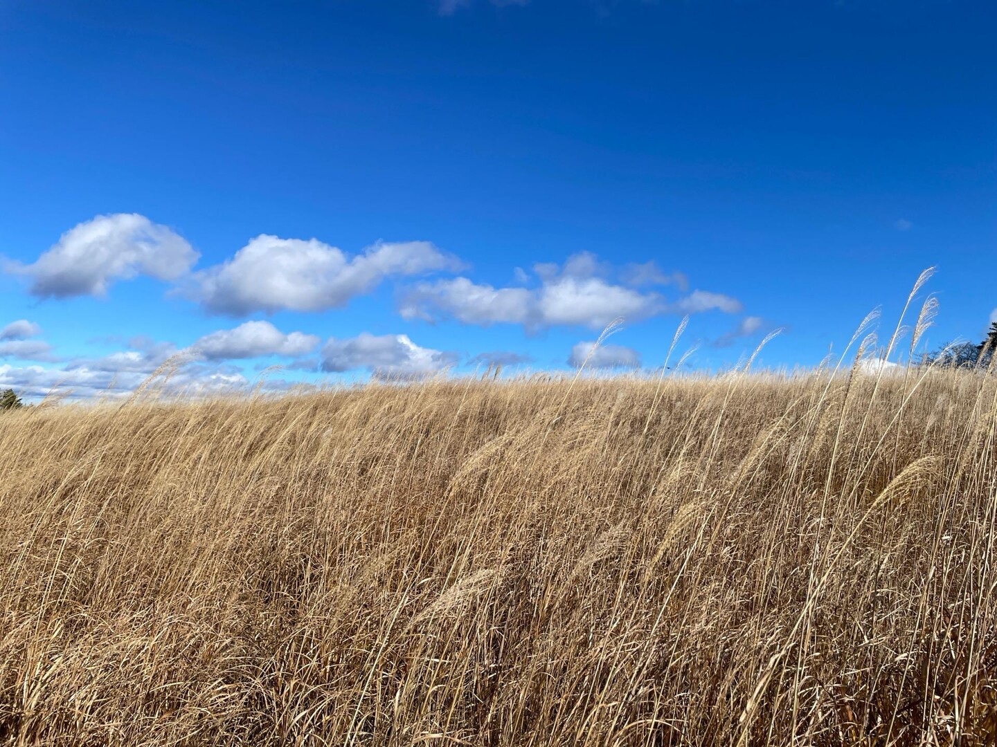 剣ヶ峰・水石山・閼伽井嶽 / kozoさんの水石山・閼伽井嶽の活動データ | YAMAP / ヤマップ