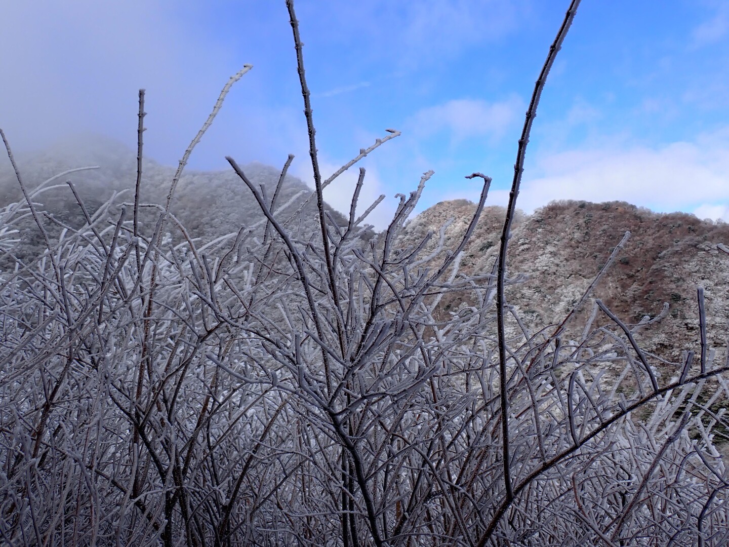 今シーズン初霧氷と雪 / S.nekoさんの雲仙岳・普賢岳・絹笠山の活動データ | YAMAP / ヤマップ