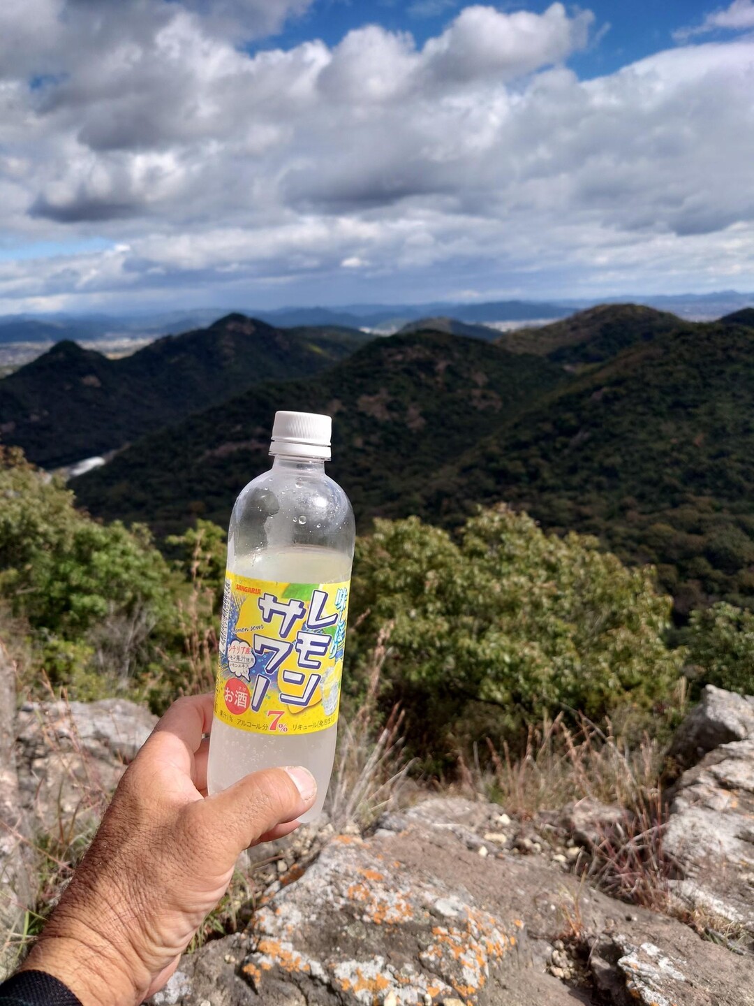 12ピクハン以外楽しみの無いX・Y・Z / palさんの天下台山・嫦峨山の活動データ | YAMAP / ヤマップ