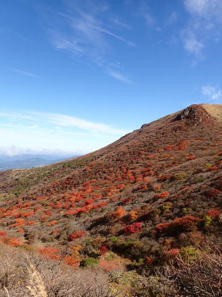 扇ヶ鼻へ 母娘二人で ️ / kunさんの九重山（久住山）・大船山・星生山の活動データ | YAMAP / ヤマップ