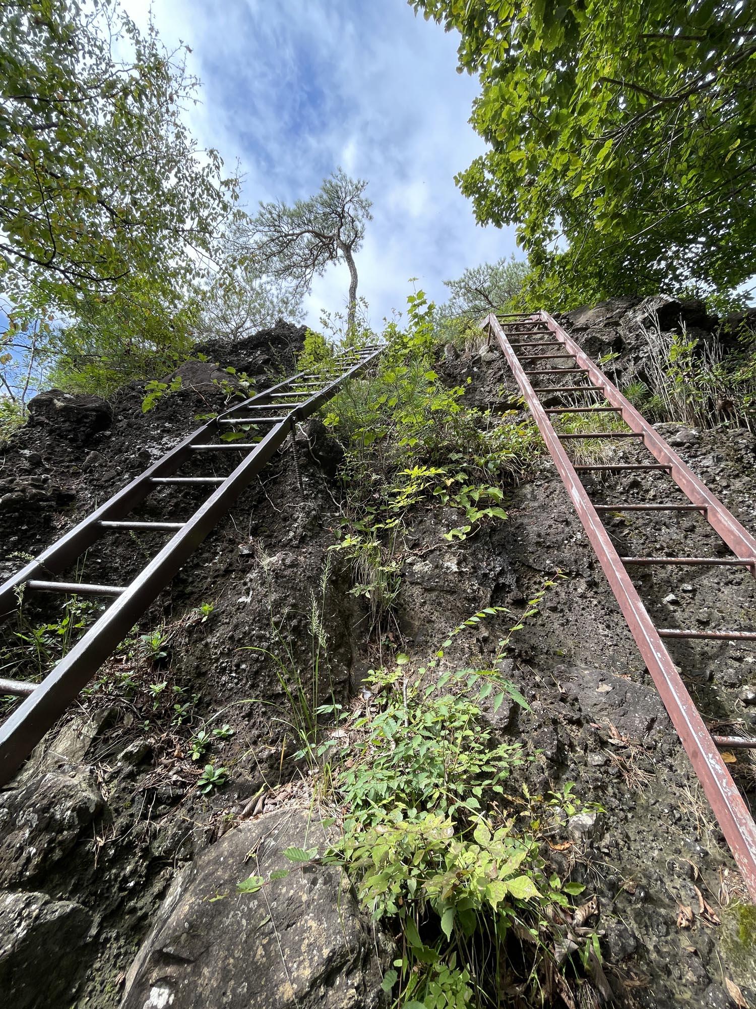霊山（東ノ物見）のんびりハイク / KOHさんの霊山の活動データ | YAMAP / ヤマップ