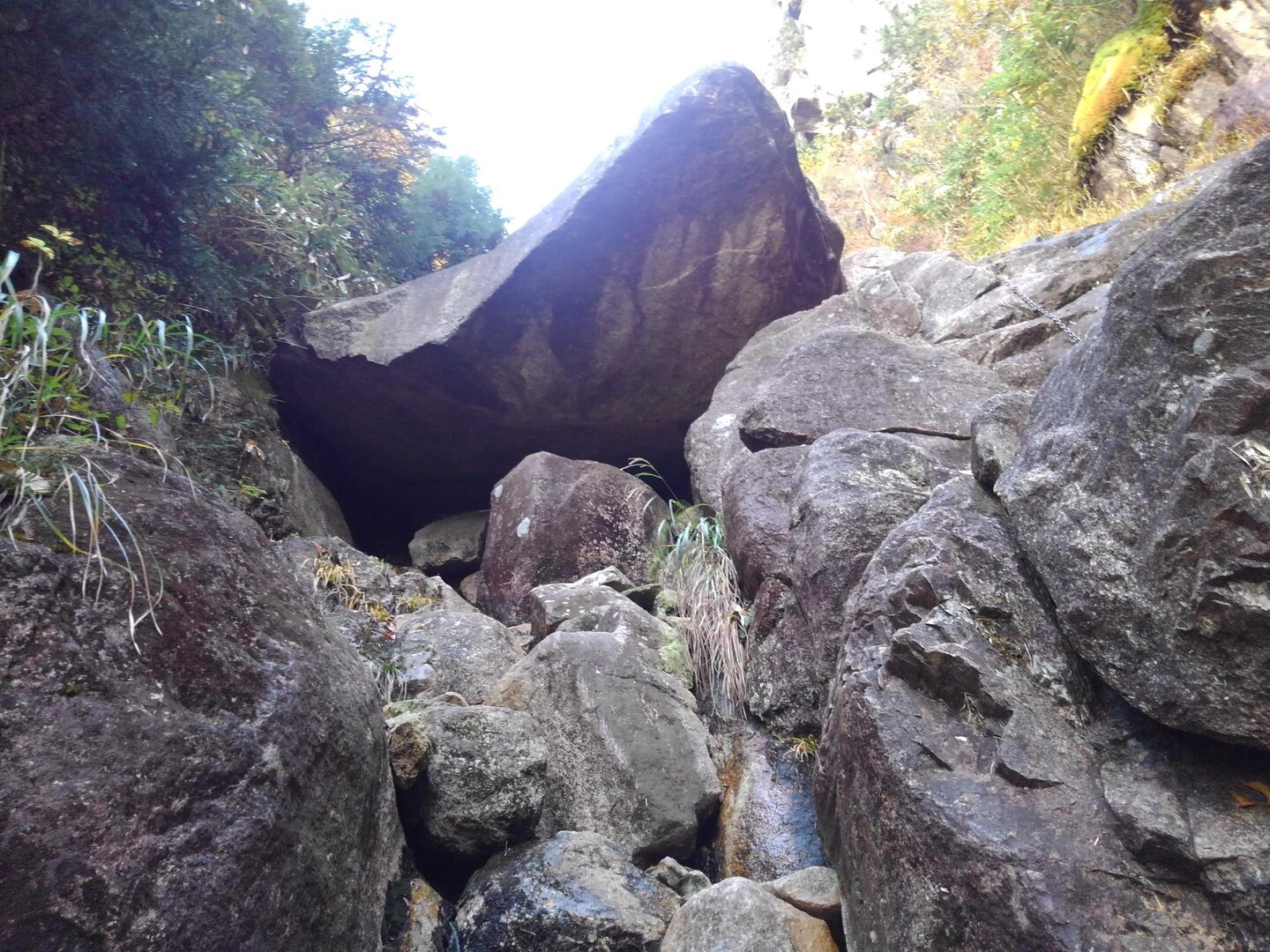 R5の二十九 大黒岩 2023-10-28 / nob3さんの御在所岳（御在所山）・雨乞岳の活動データ | YAMAP / ヤマップ