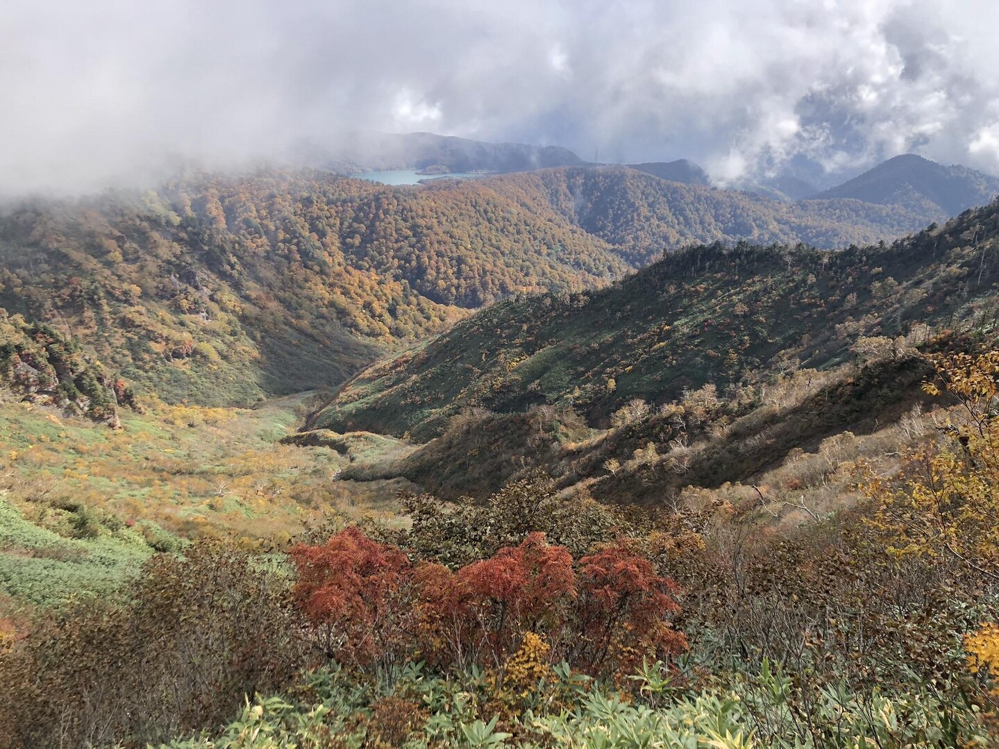 苗場山・龍ノ峰・赤倉山 / necomaru Xさんの苗場山・赤倉山・佐武流山の活動データ | YAMAP / ヤマップ