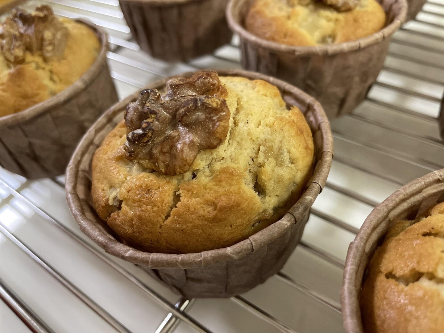 ぐうたらバンザイ。 身体が痛くなるまでひ... / ricoさんのモーメント | YAMAP / ヤマップ