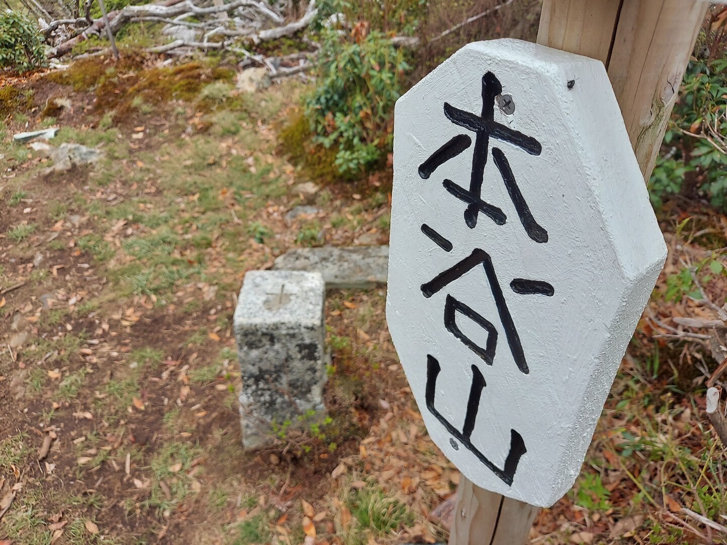 尾平越より丸山・本谷山 / derainandreさんの祖母山の活動日記 | YAMAP / ヤマップ