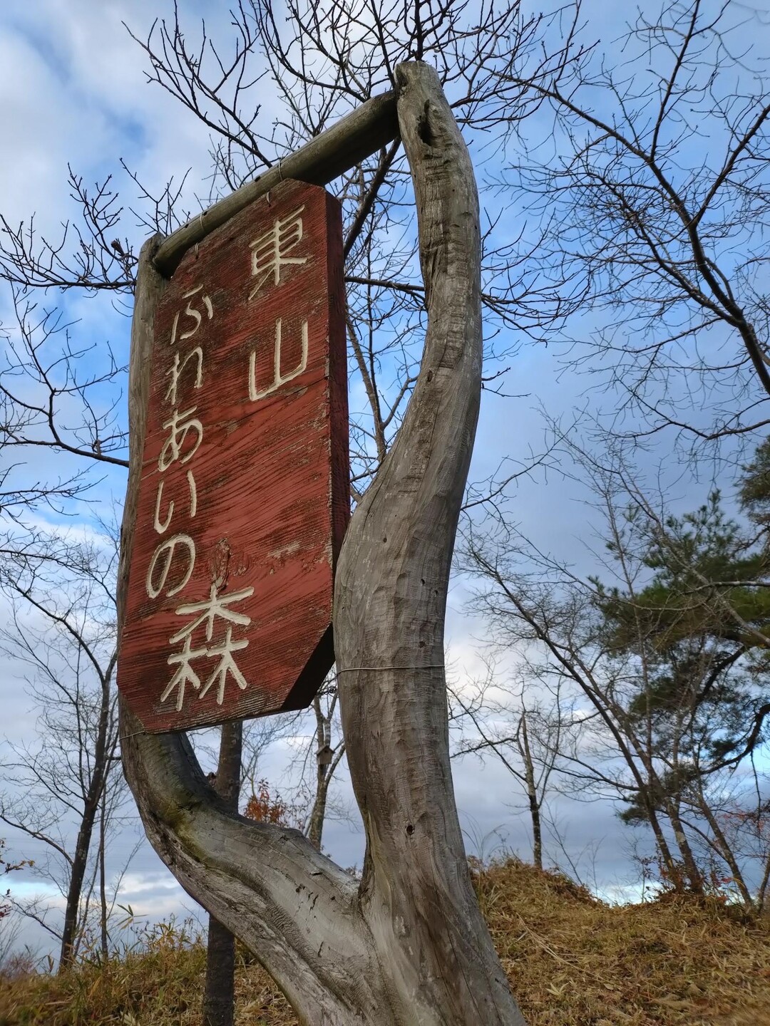 東山 / yoko.kさんの茶臼山の活動データ | YAMAP / ヤマップ