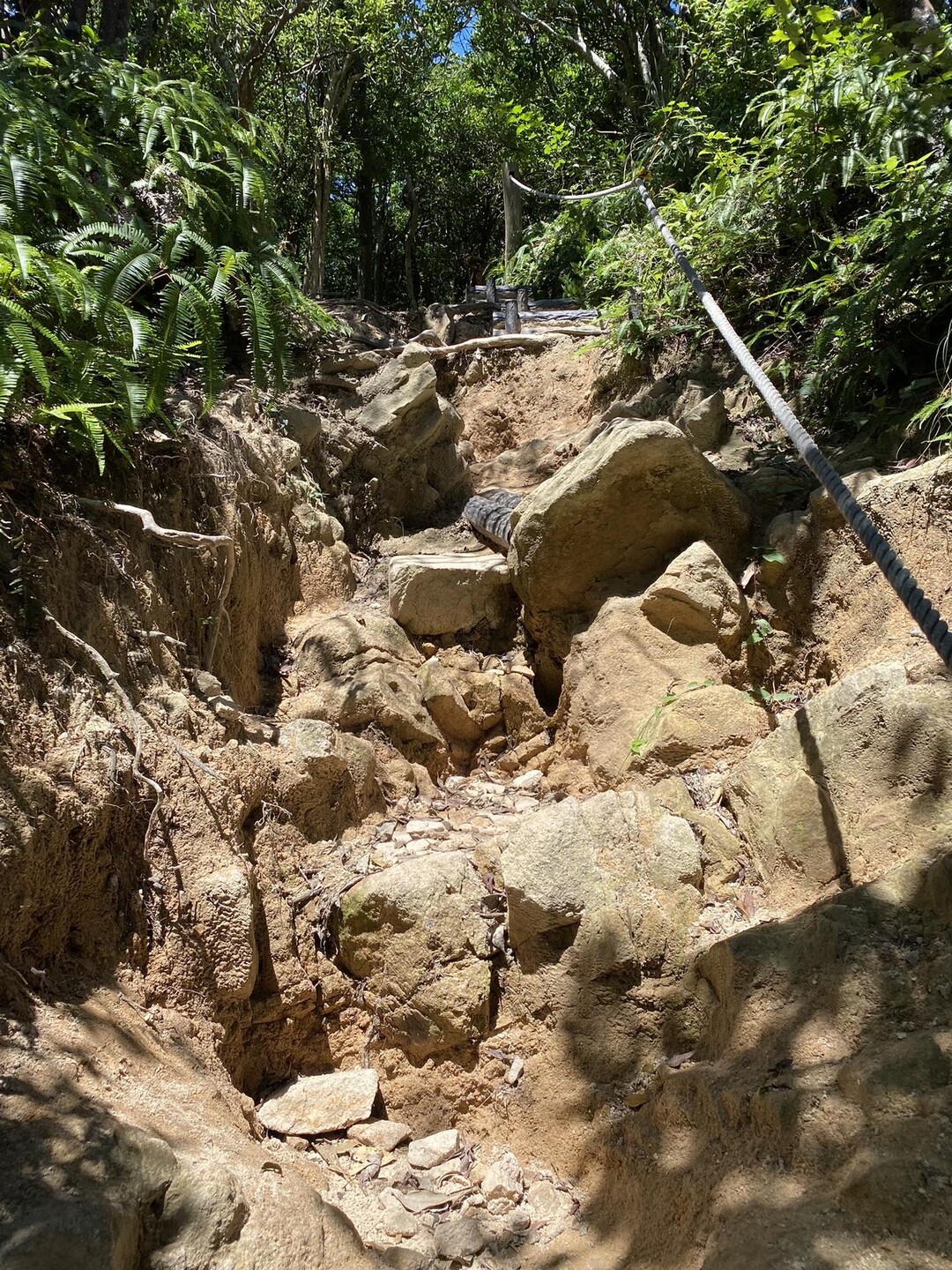 立石山 / shotaさんの立石山の活動データ | YAMAP / ヤマップ