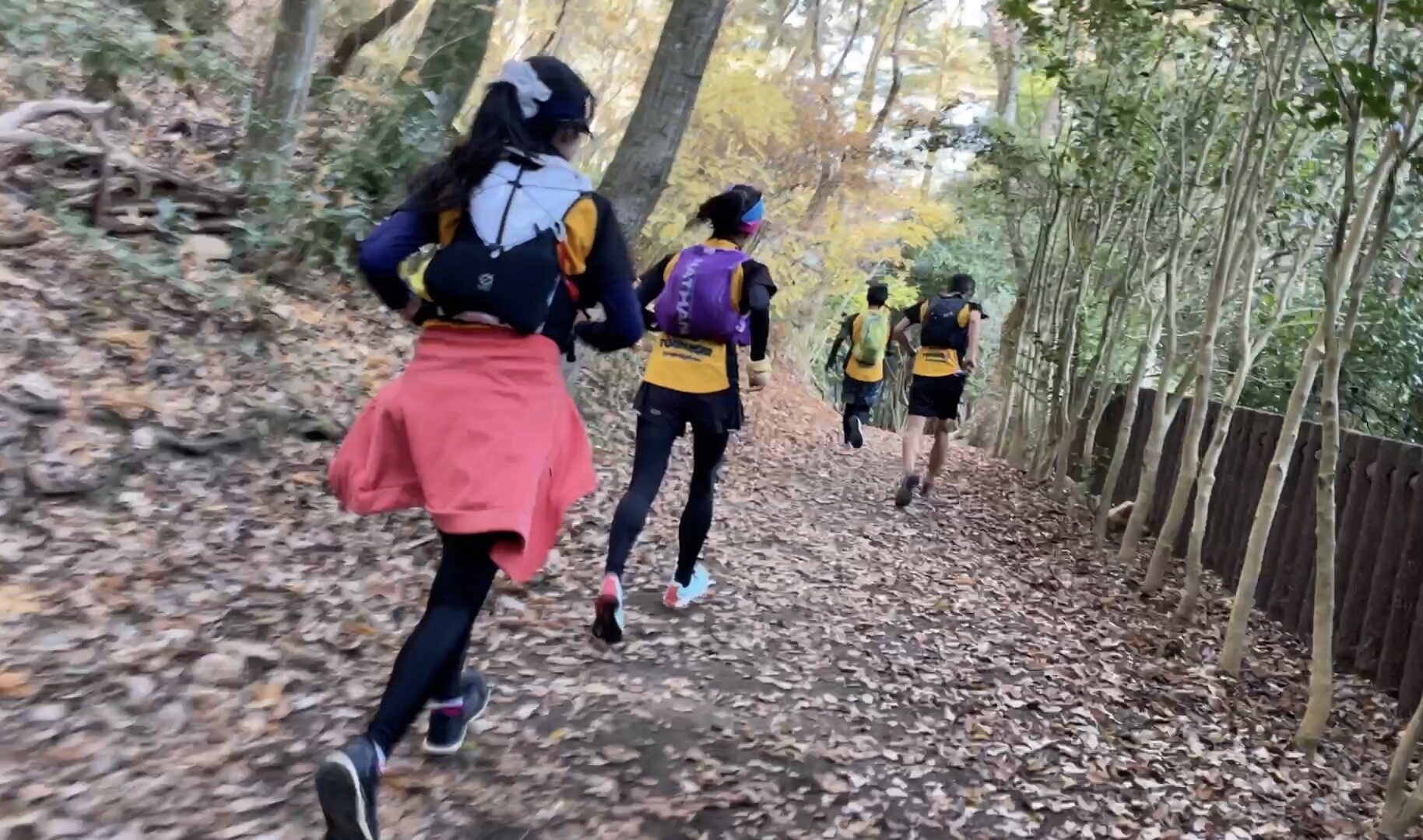 R.T.T⭐イソレンジャーイエロー出動💫 / たかさんの六甲山・長峰山・摩耶山の活動データ | YAMAP / ヤマップ