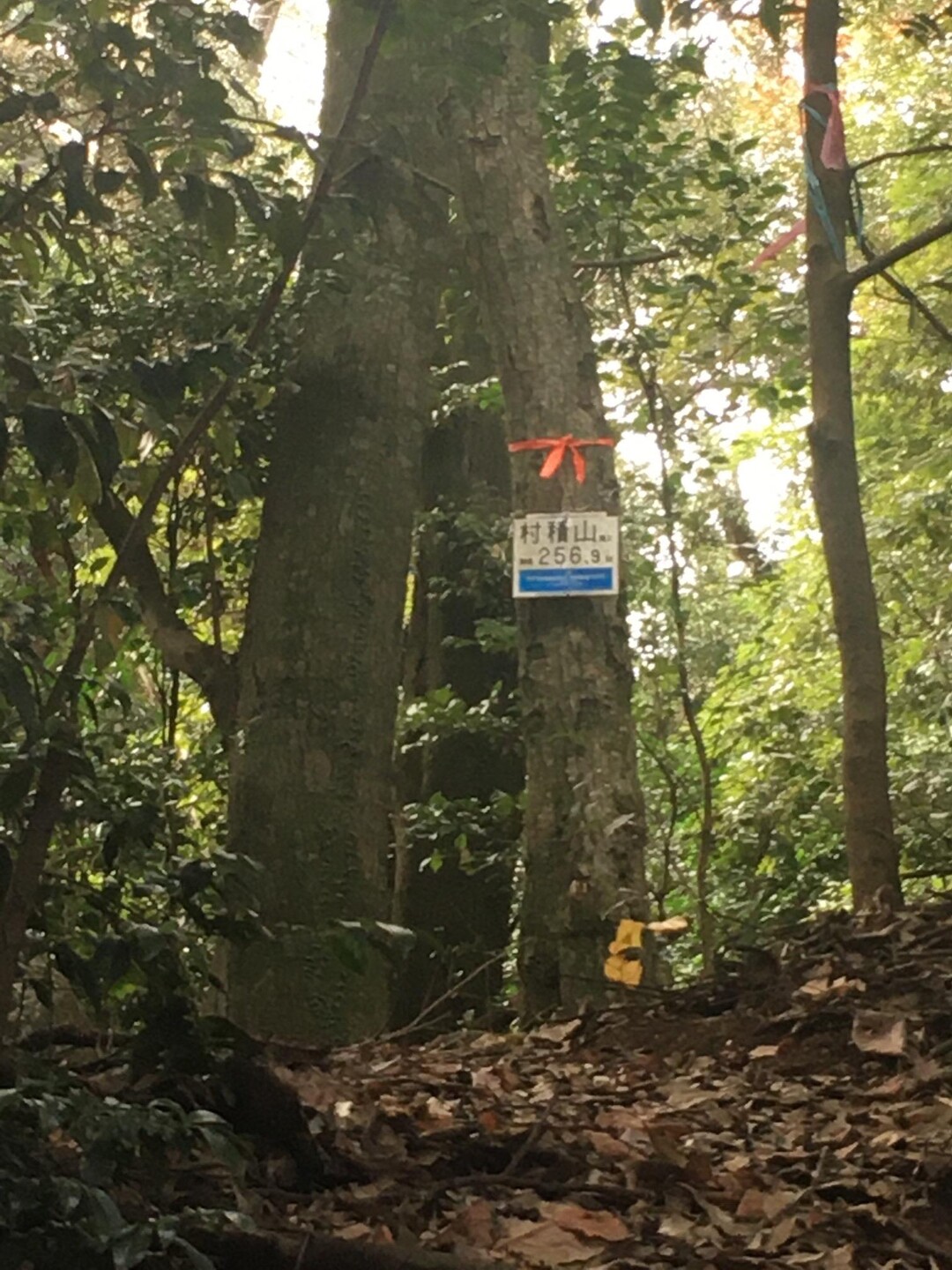 村積山 / kanameさんの村積山の活動データ | YAMAP / ヤマップ