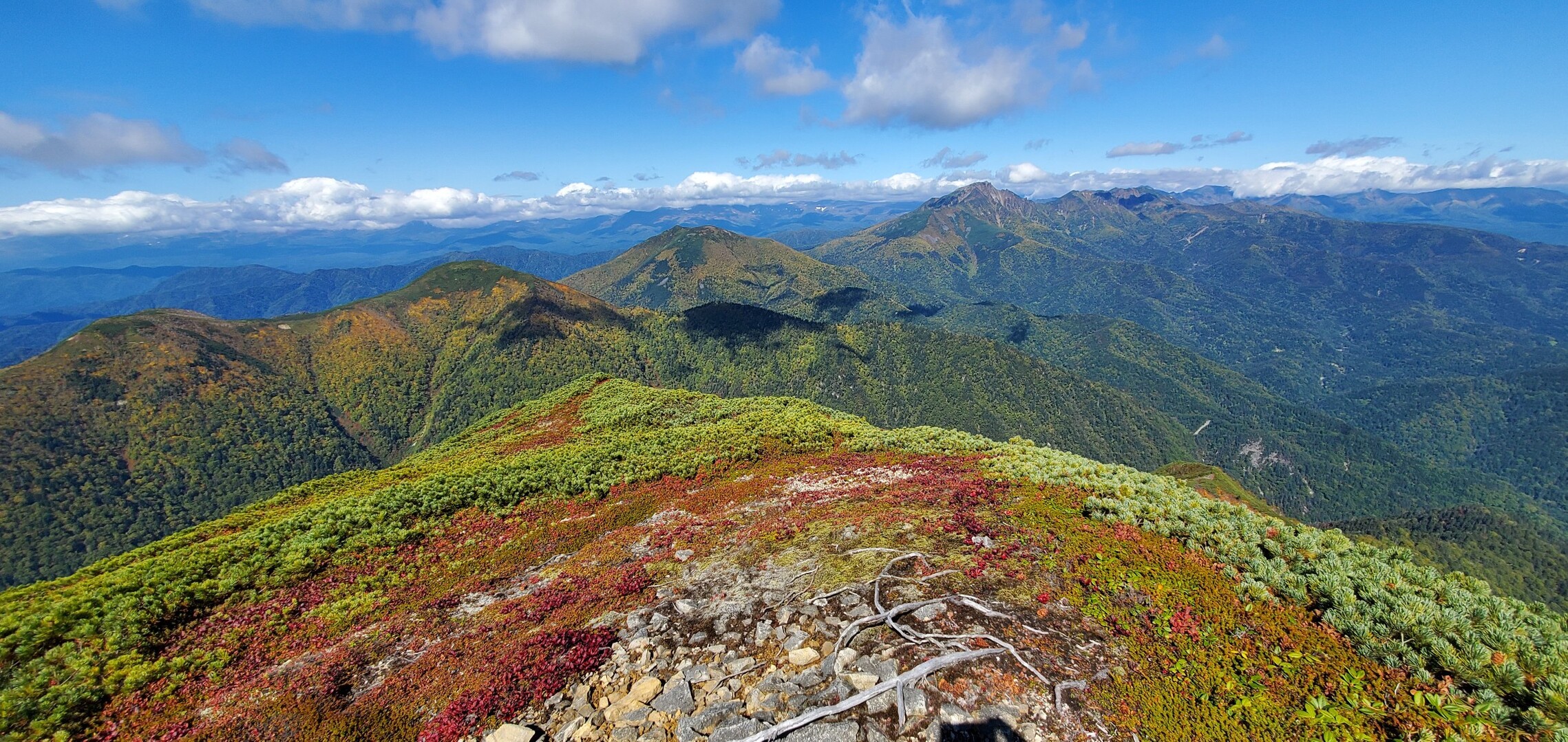 ウペペ最高‼️🙌🤣 / そうちゃんさんのウペペサンケ山の活動データ | YAMAP / ヤマップ