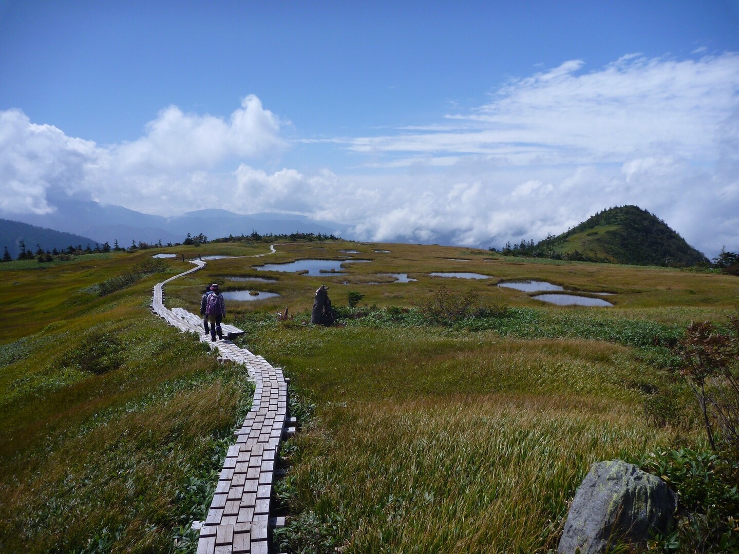 苗場山 / pleng86さんの苗場山・赤倉山・佐武流山の活動データ | YAMAP / ヤマップ