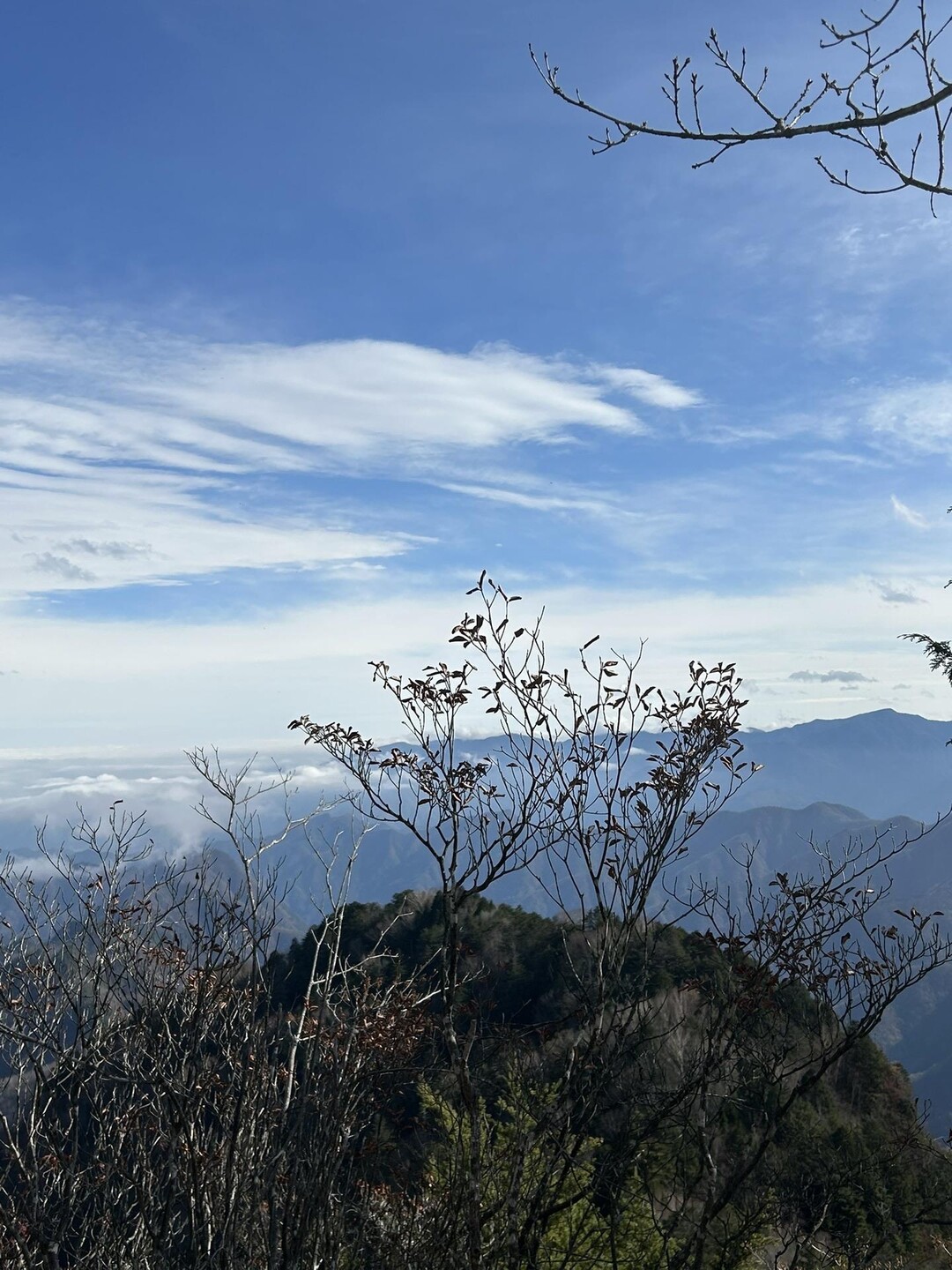 両神山 / ANEさんの両神山・諏訪山・二子山の活動データ | YAMAP / ヤマップ