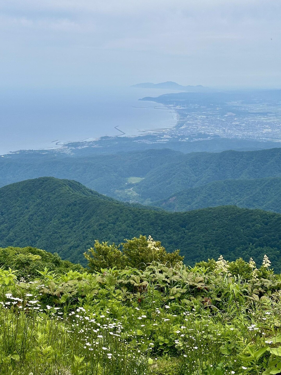 米山 大平コース / PJさんの米山の活動データ | YAMAP / ヤマップ