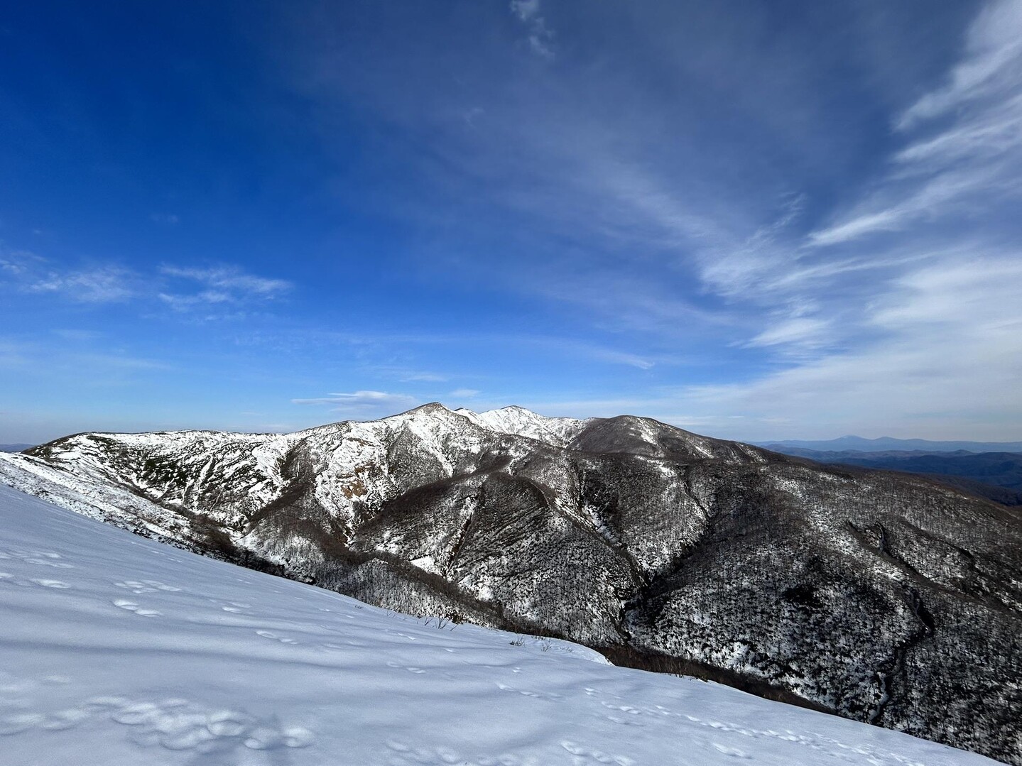 和賀岳敗退 薬師岳まで / Hassyさんの和賀岳・薬師岳・高下岳の活動データ | YAMAP / ヤマップ