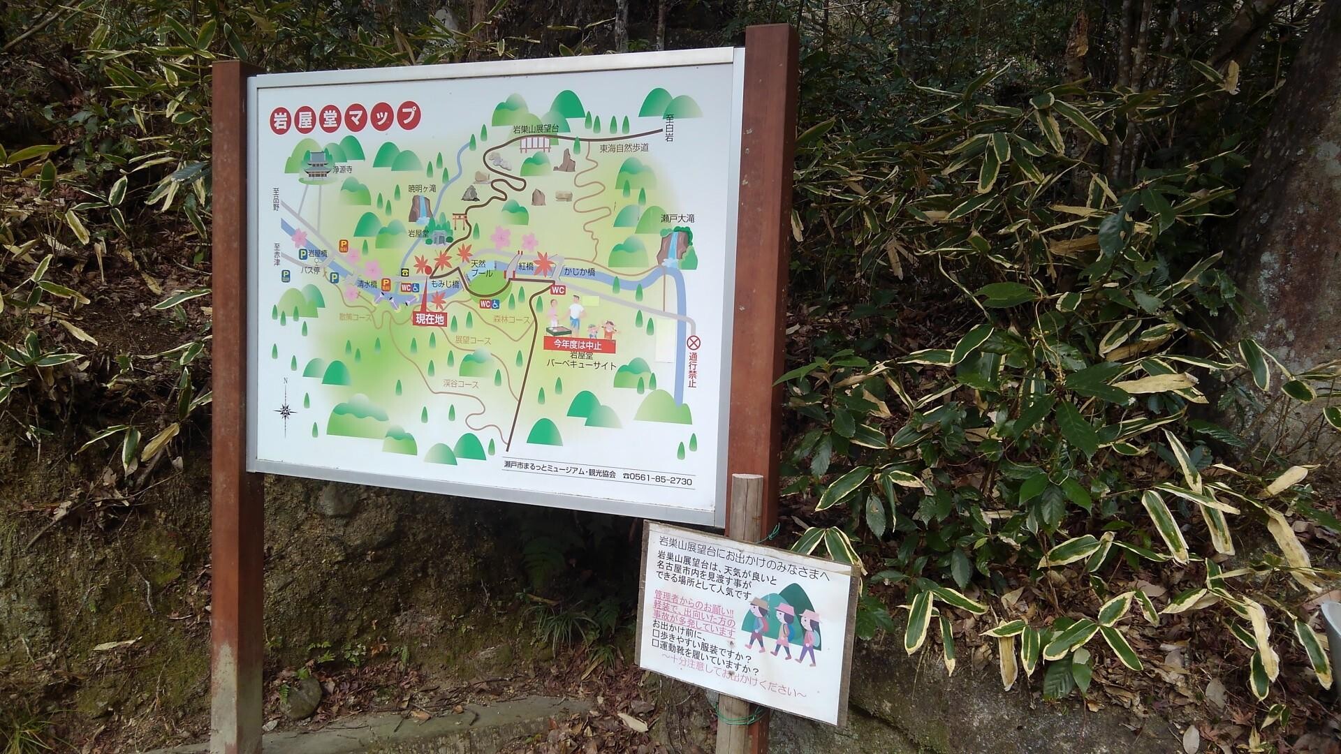 おいしそうな実が落ちていた岩巣山、元岩巣山 / nobu2🦩さんの岩巣山・三国山・折平山の活動データ | YAMAP / ヤマップ