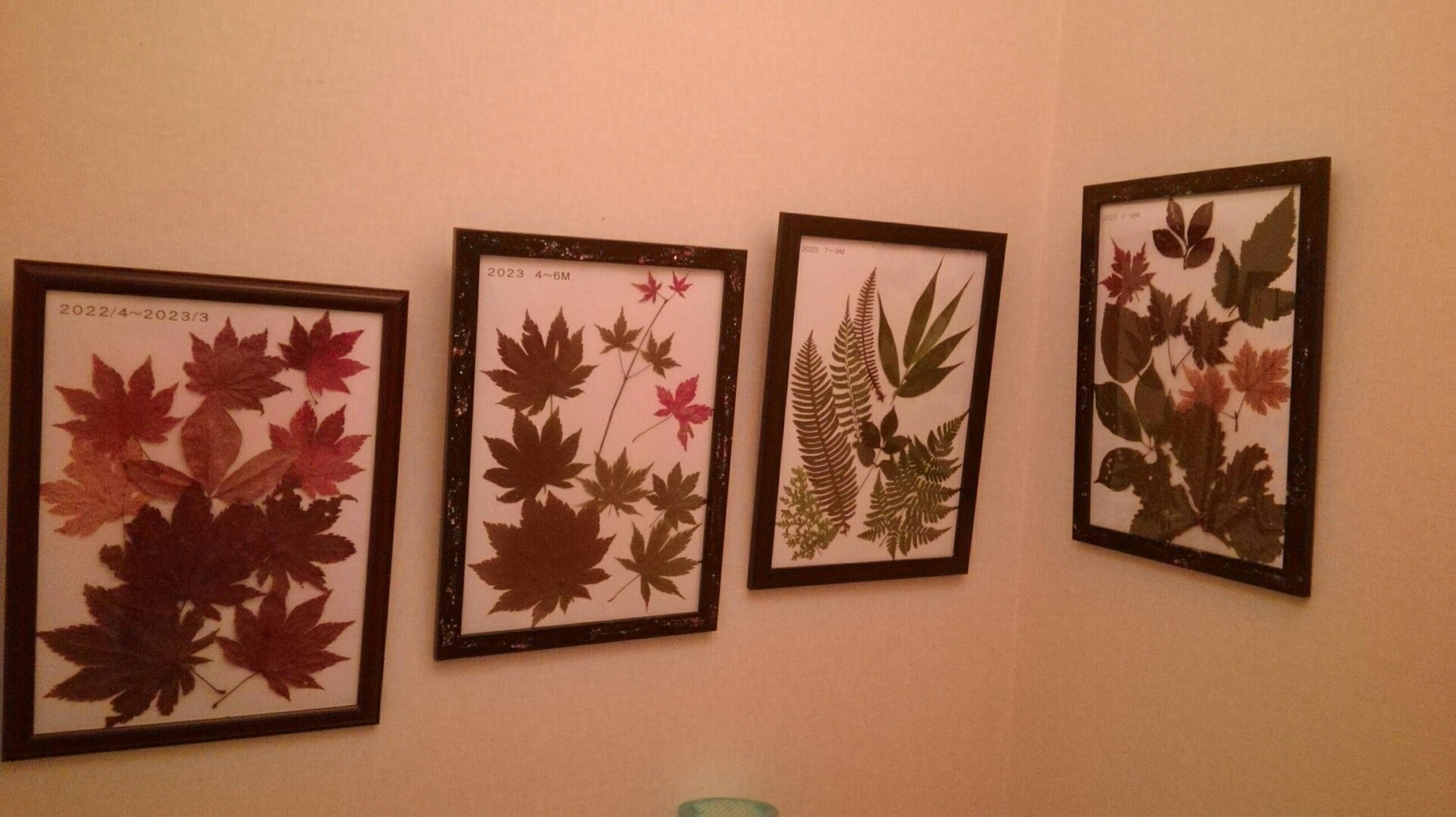 マイギャラリー😁 / 林のｸﾏkinさんのモーメント | YAMAP / ヤマップ